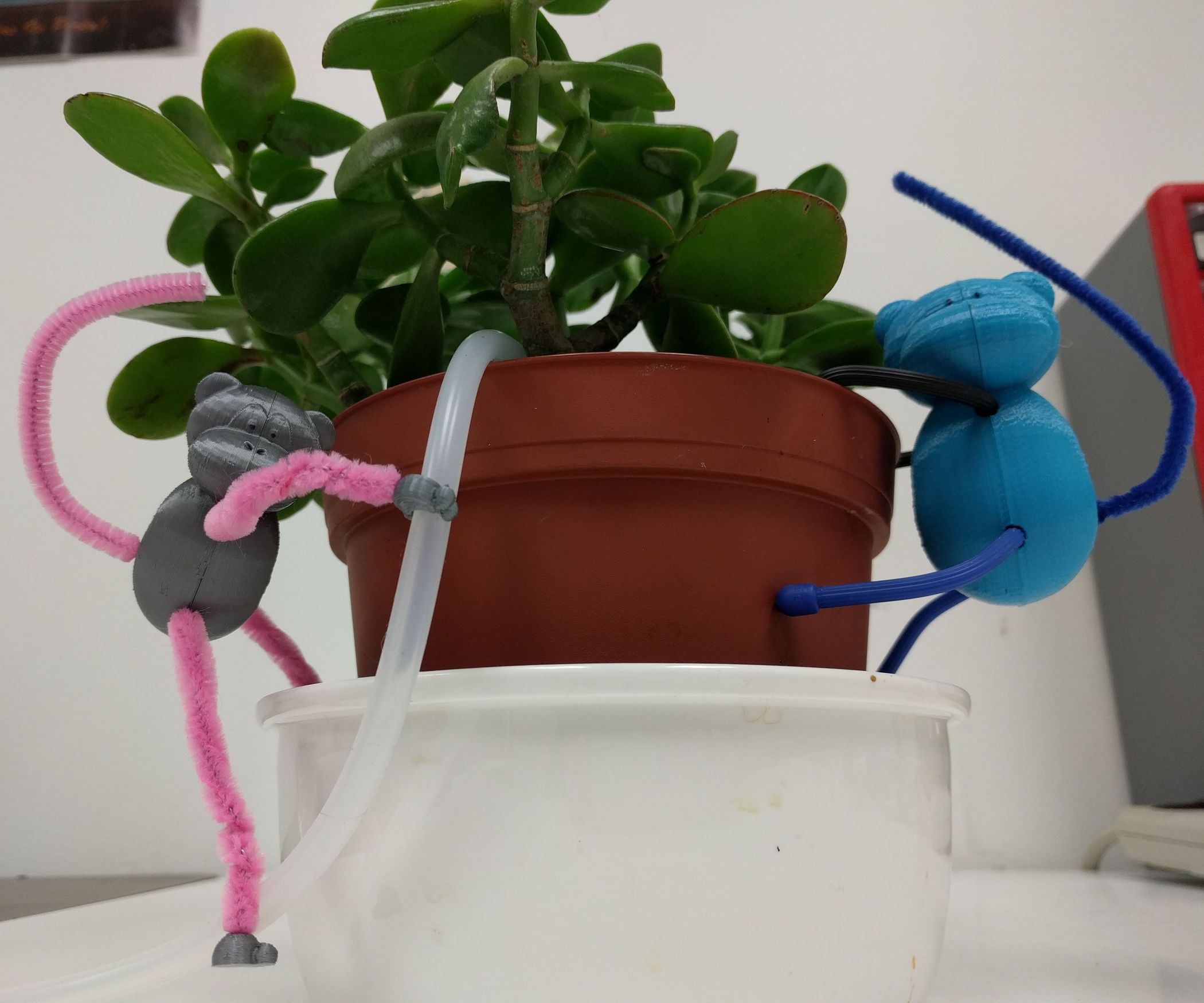 Water Monkeys : 9 Steps (with Pictures) - Instructables