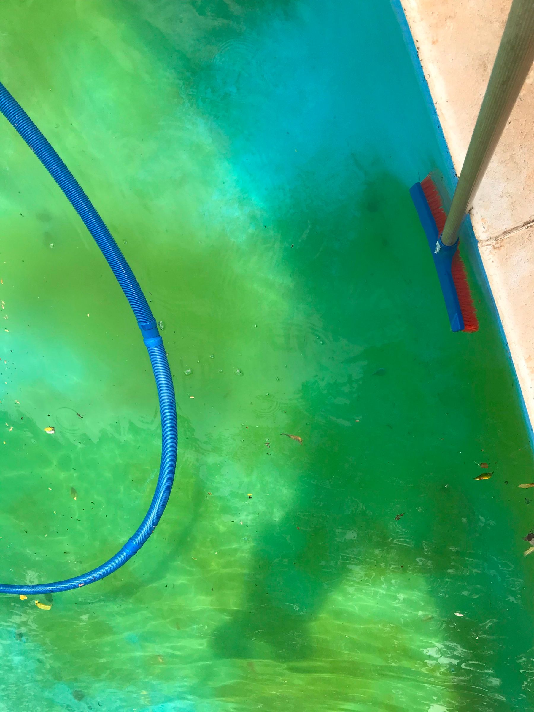 A Pool Story: Green to Clean : 9 Steps - Instructables