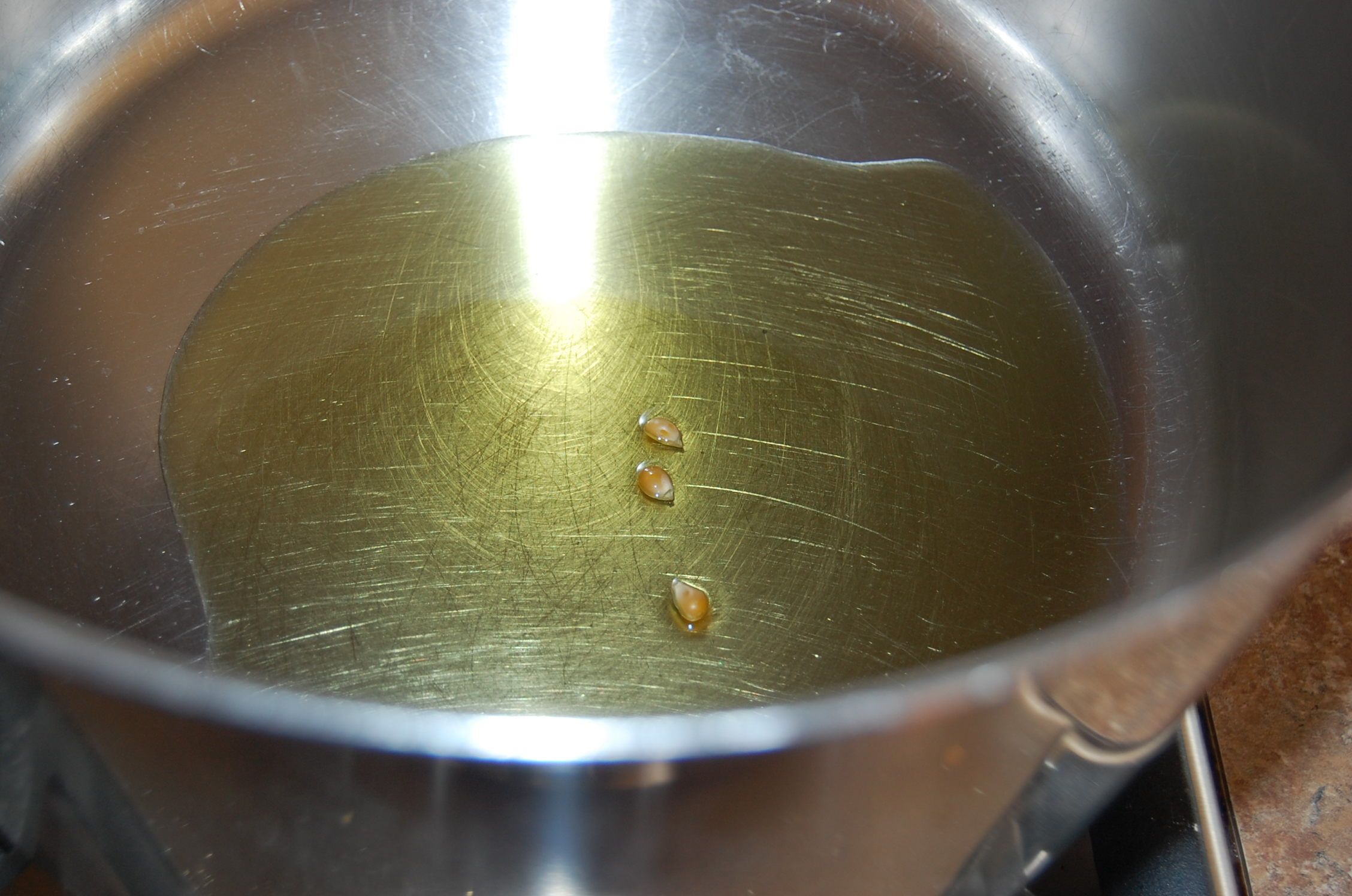 How to Pop Popcorn on the Stovetop : 4 Steps (with Pictures ...