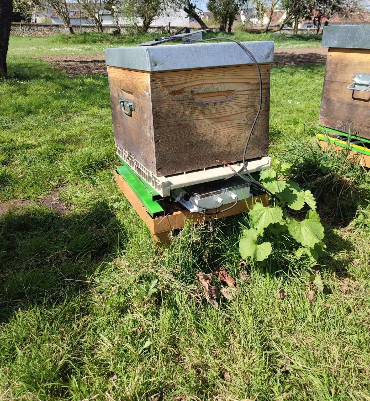 BEEconnect : 5 Steps - Instructables