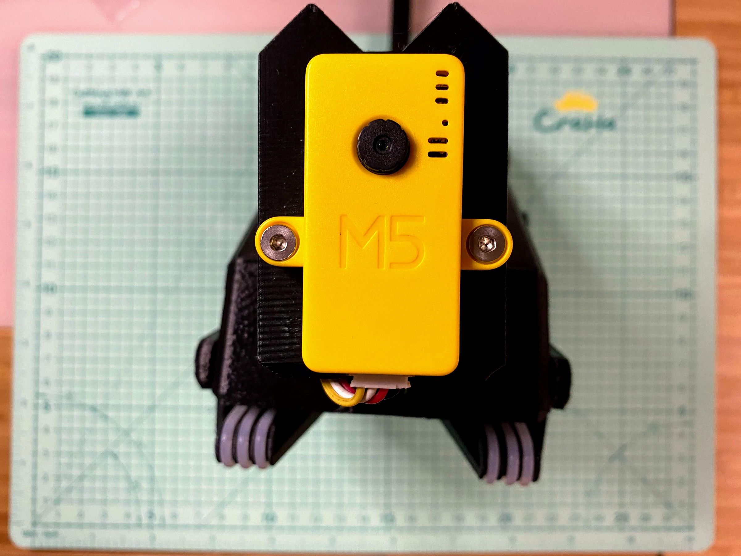 Robot Cat : 20 Steps (with Pictures) - Instructables