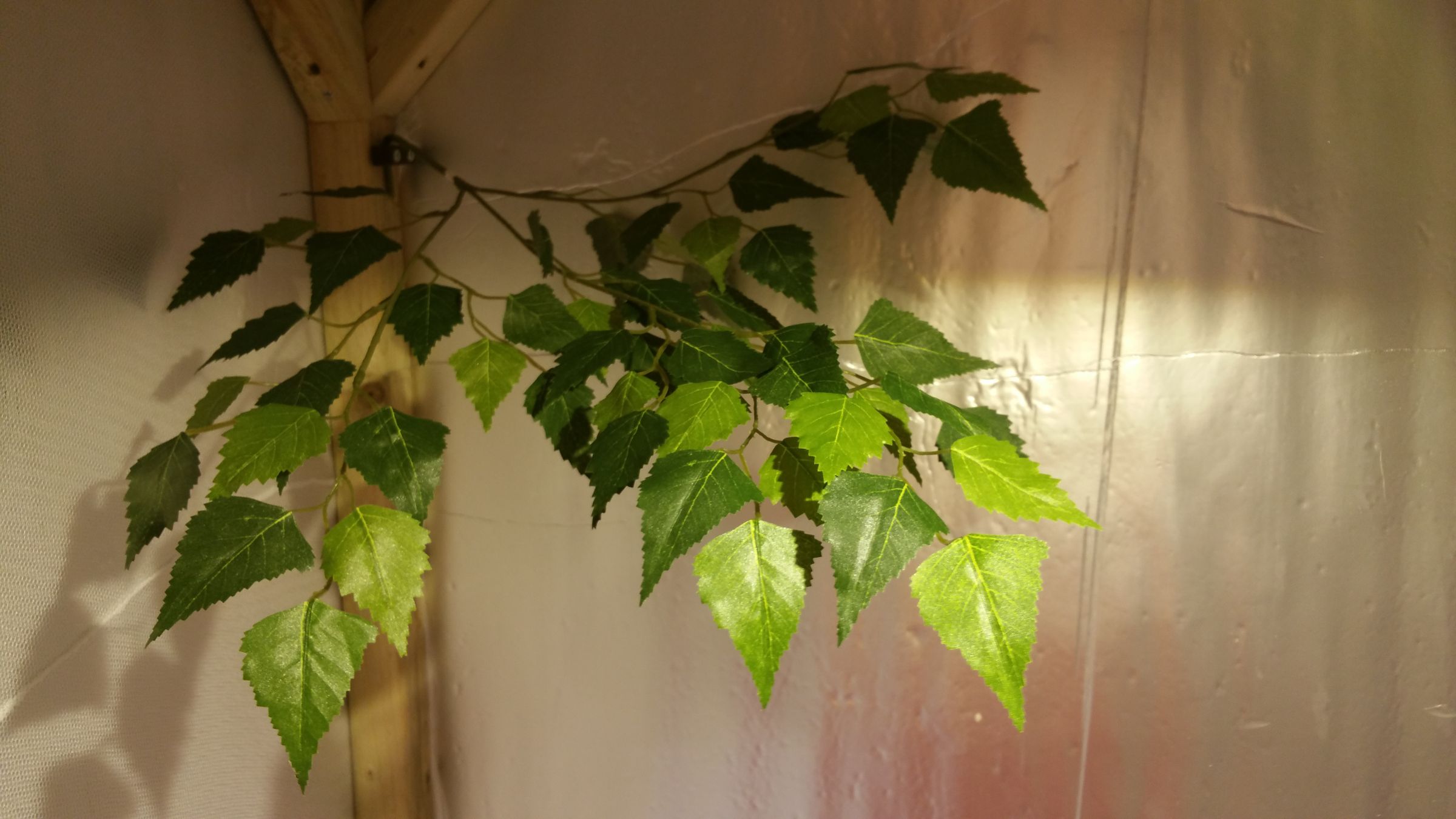 Fly Cage Black Soldier Fly Breeding UK. : 9 Steps (with Pictures ...