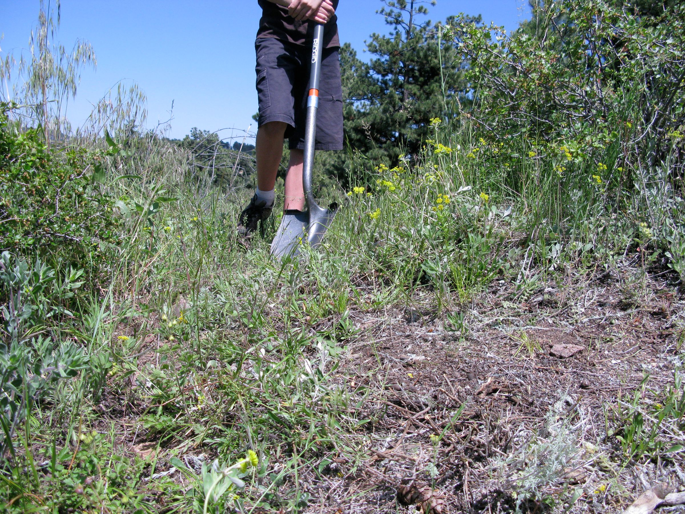Bulid a Mountain Bike Trail : 7 Steps - Instructables