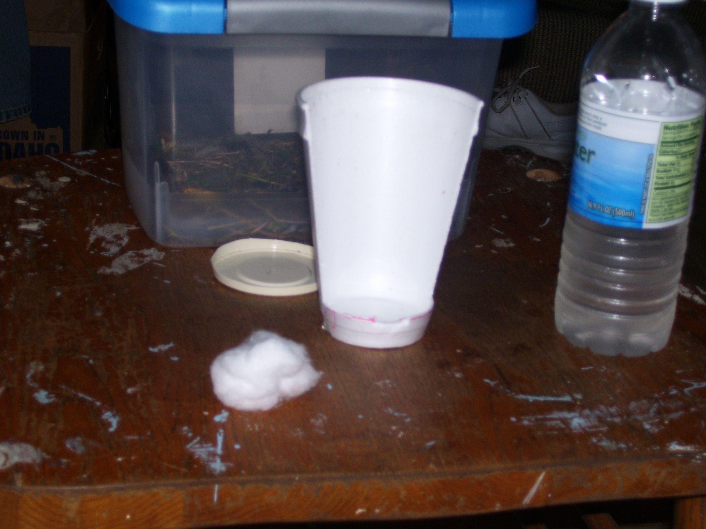 Cricket Breeding Pt. 1 : 6 Steps - Instructables