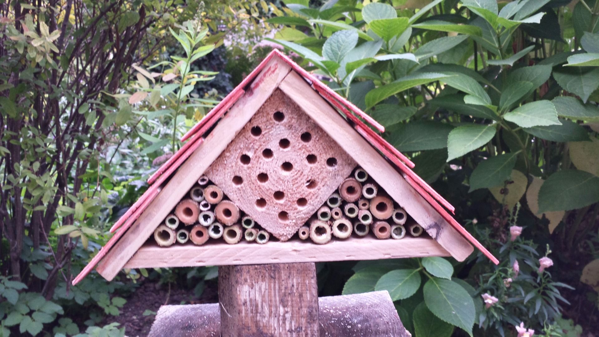 Bee Hotel : 3 Steps (with Pictures) - Instructables