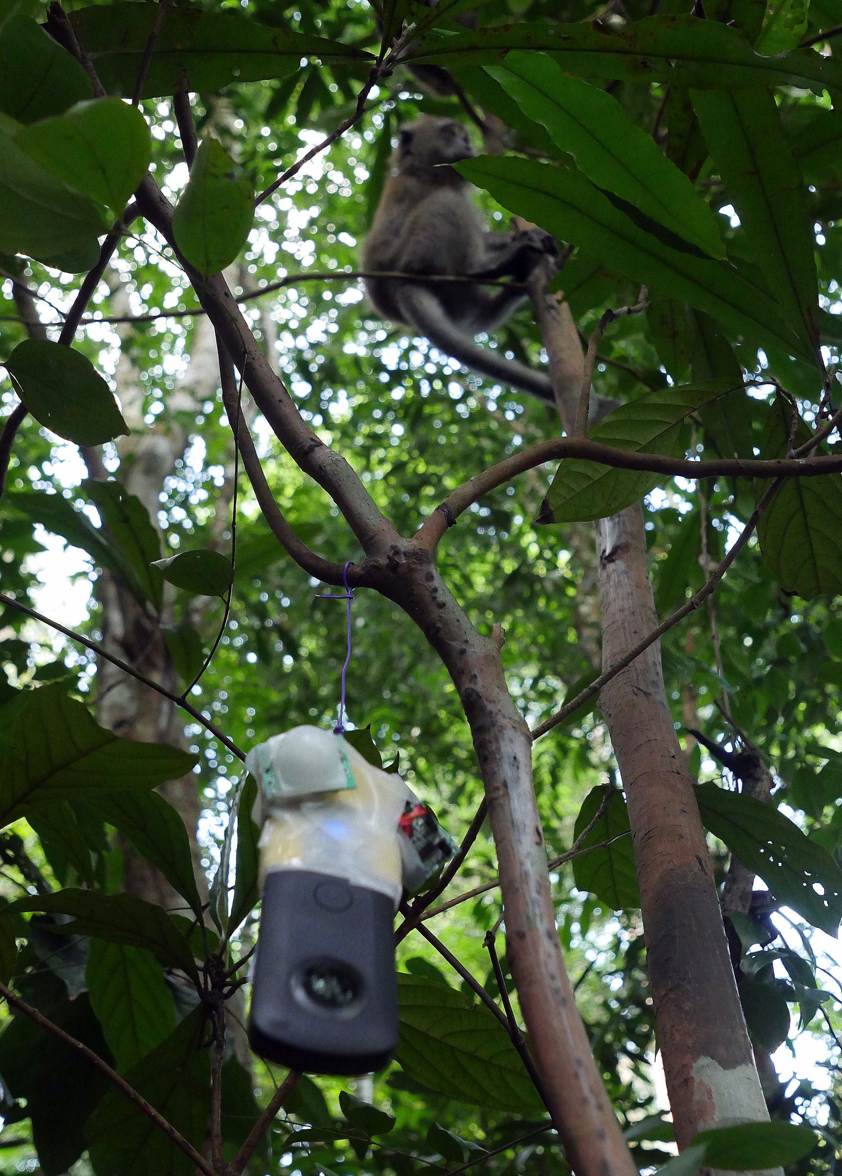 360 Virtual Reality Camera Trap : 16 Steps (with Pictures) - Instructables