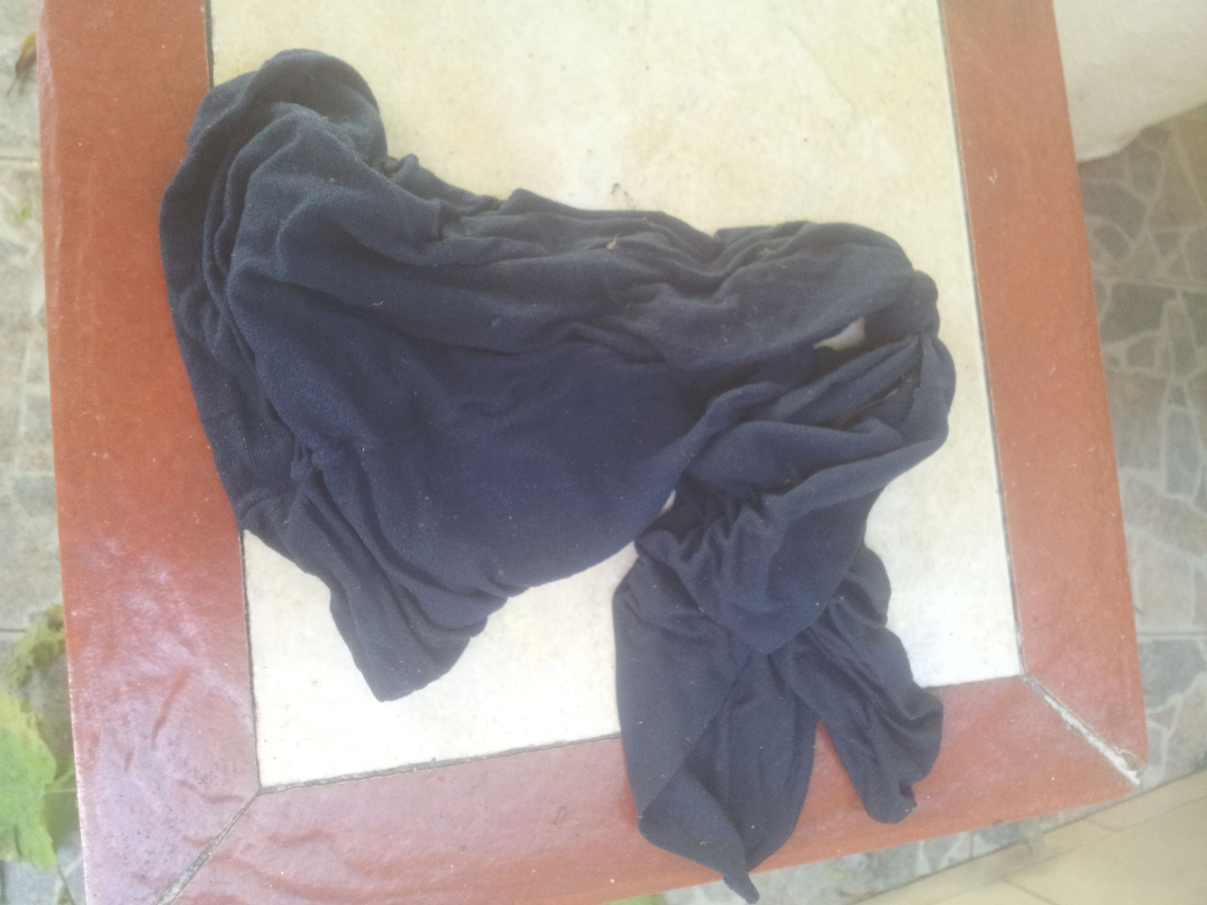 Above Ground Pool Pre Filter : 4 Steps - Instructables