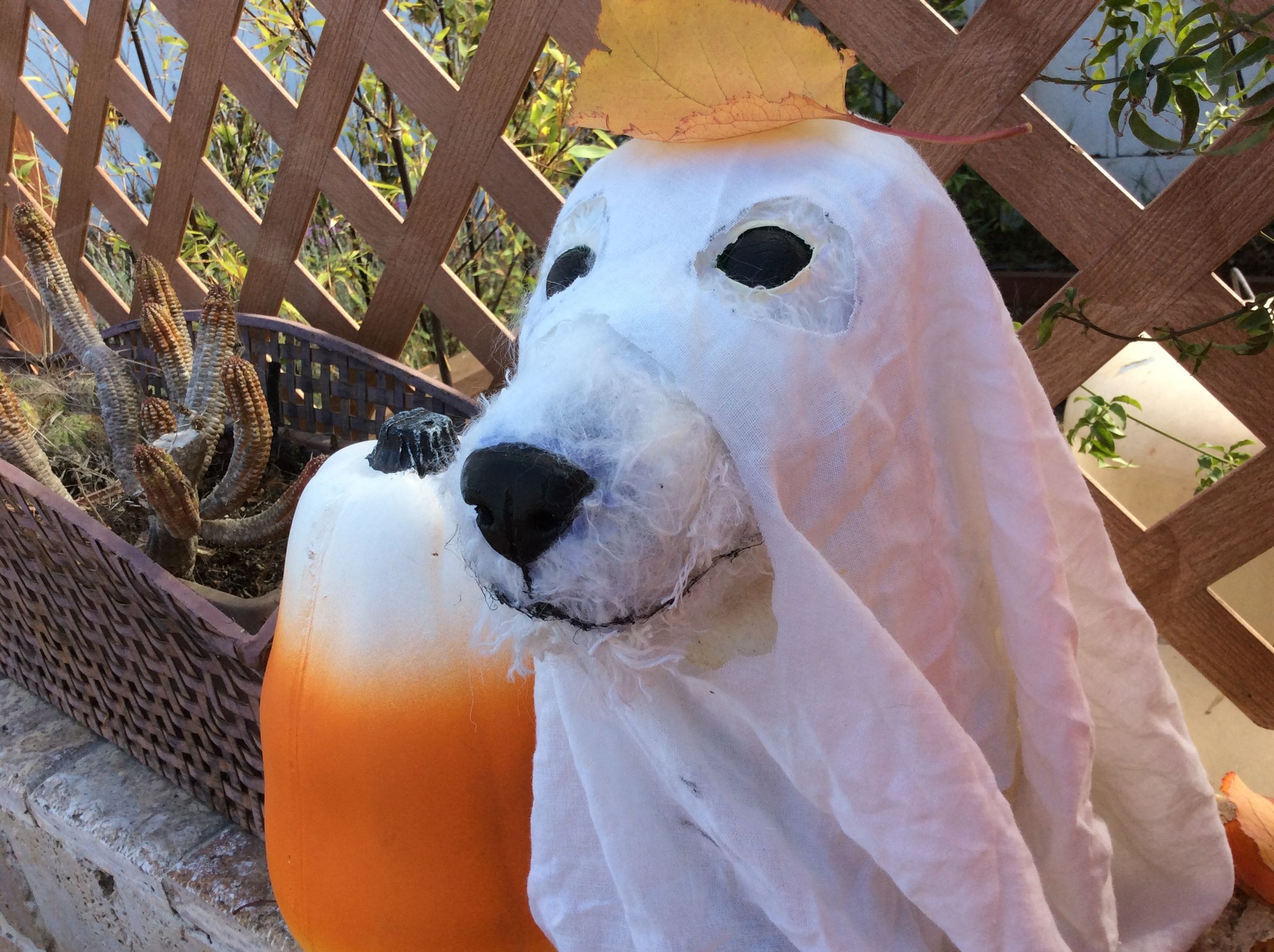 Boo the Ghost Dog Halloween Decoration : 13 Steps (with Pictures ...