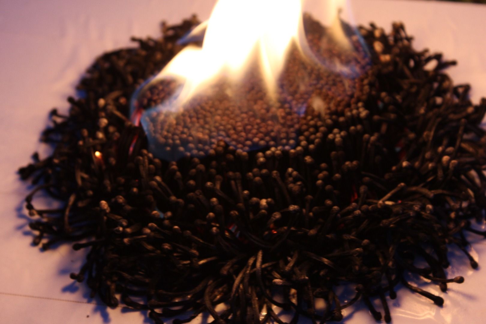 Amazing Fire Domino - 3000 Matches Chain Reaction!!!!!! : 4 Steps (with ...