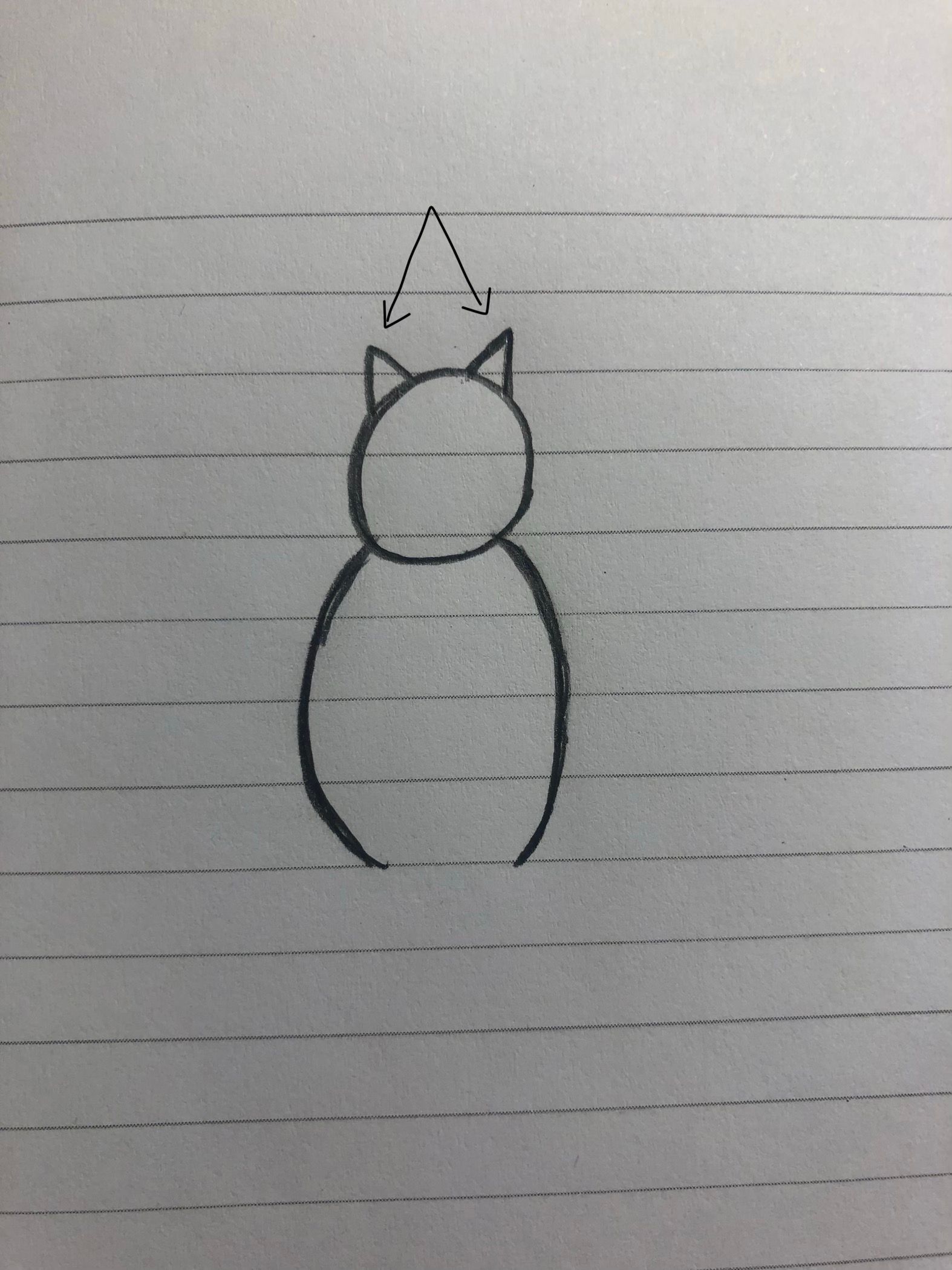 How to Draw a Cat : 11 Steps - Instructables