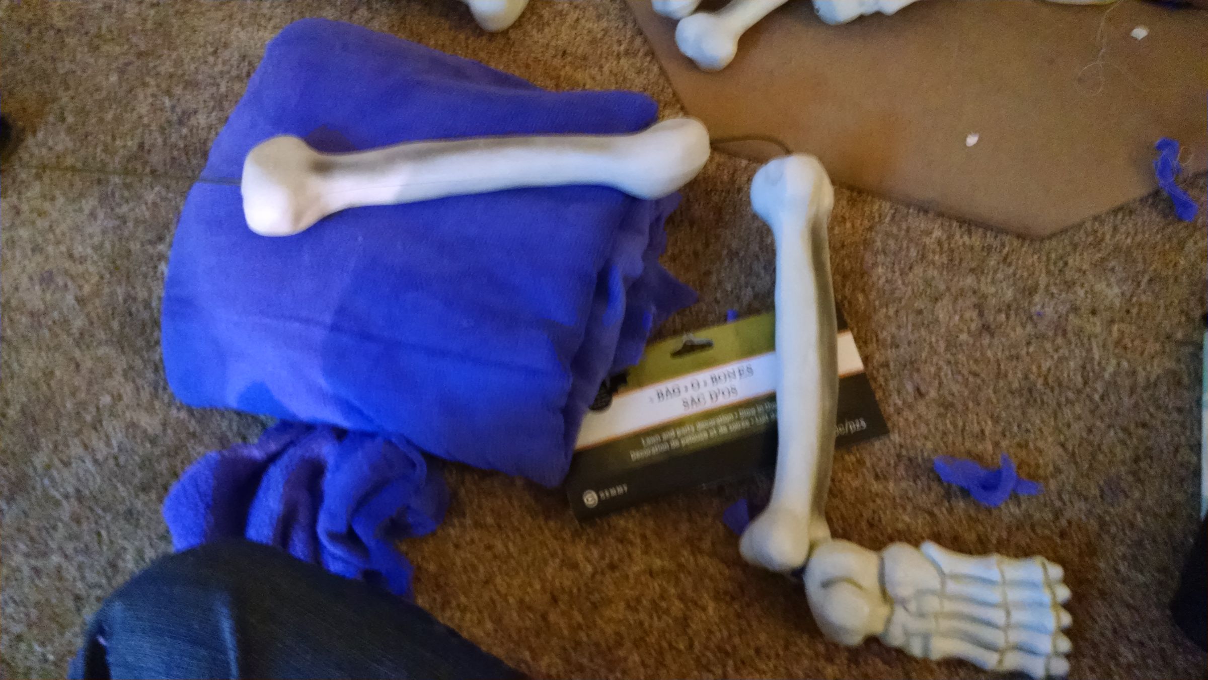 Grateful Dead Carry Me Costume : 5 Steps (with Pictures) - Instructables
