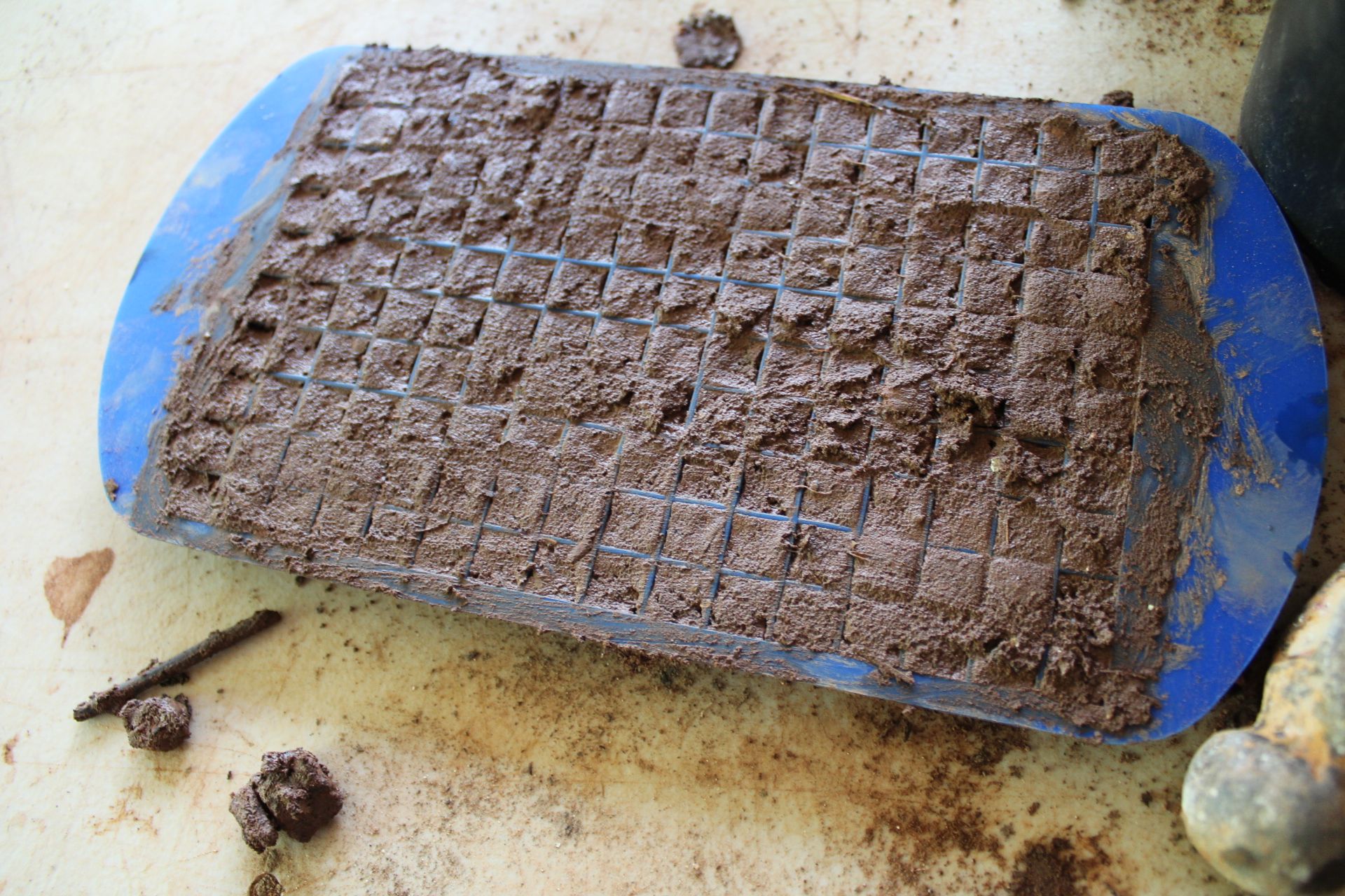 Homemade Pelleted Seeds : 8 Steps (with Pictures) - Instructables