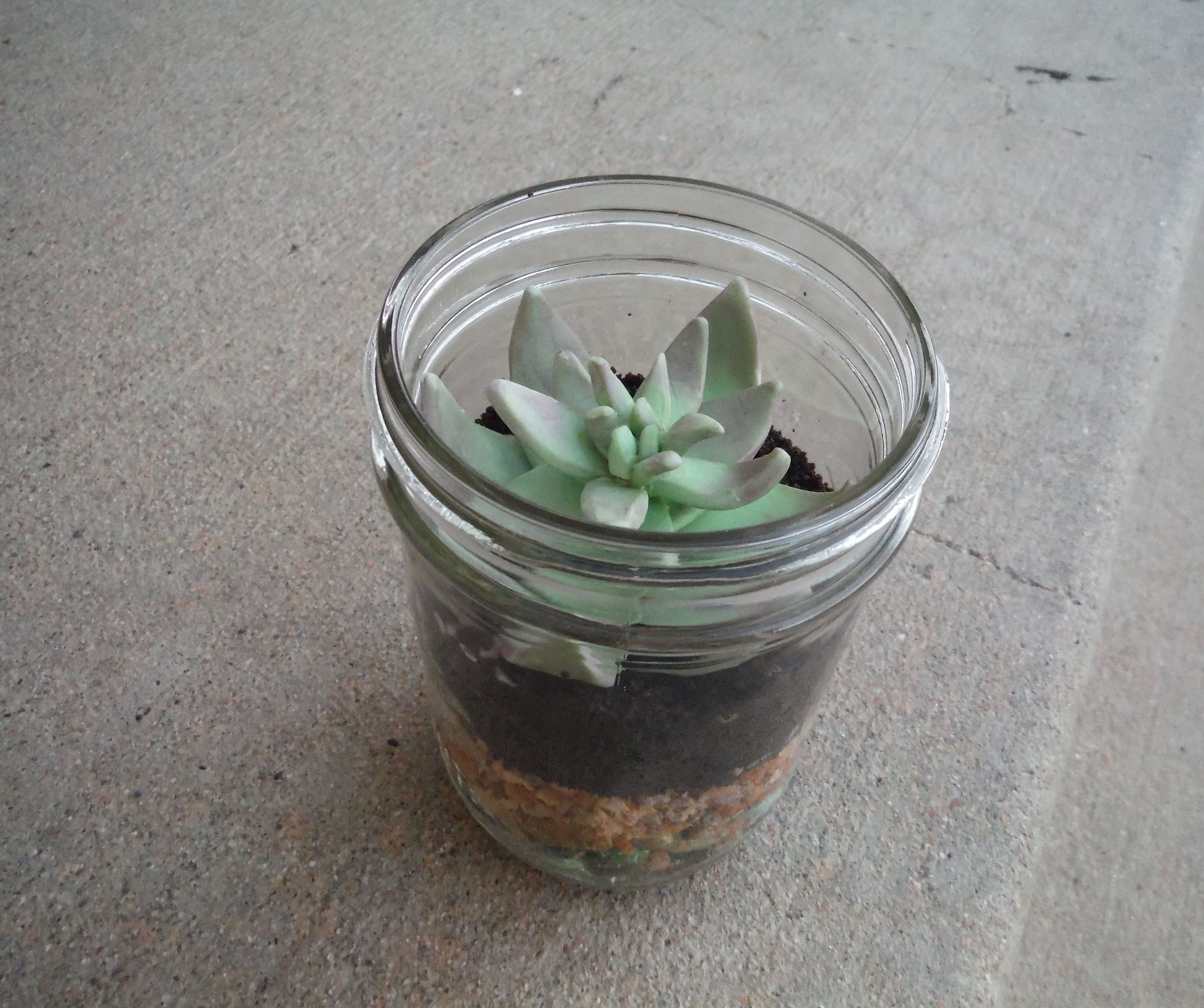 Edible Terrariums (chocolate Cake in Jar) : 9 Steps (with Pictures ...