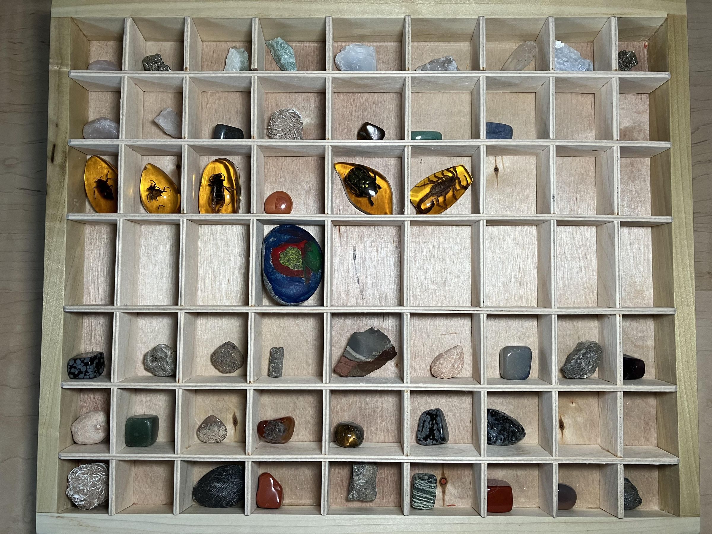 Specimen Box | Display Case : 6 Steps (with Pictures) - Instructables