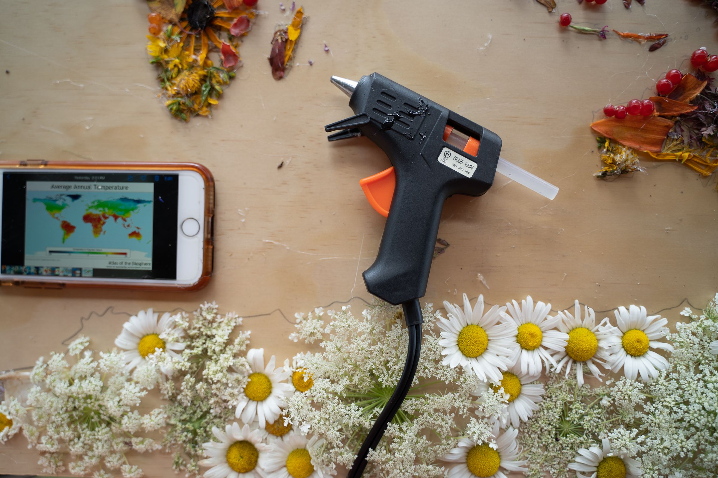 Creating a Map With Flowers + Constructing Your Own Artistic Style : 5 ...