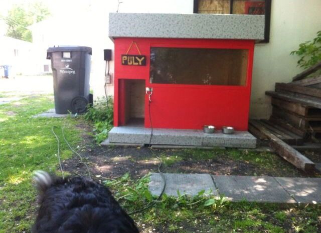 Dog House : 10 Steps (with Pictures) - Instructables
