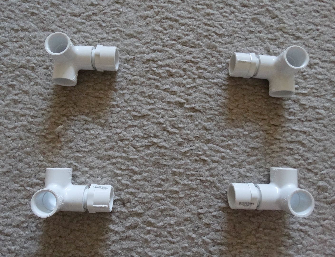 Raising Giant Silk Moths : 15 Steps (with Pictures) - Instructables