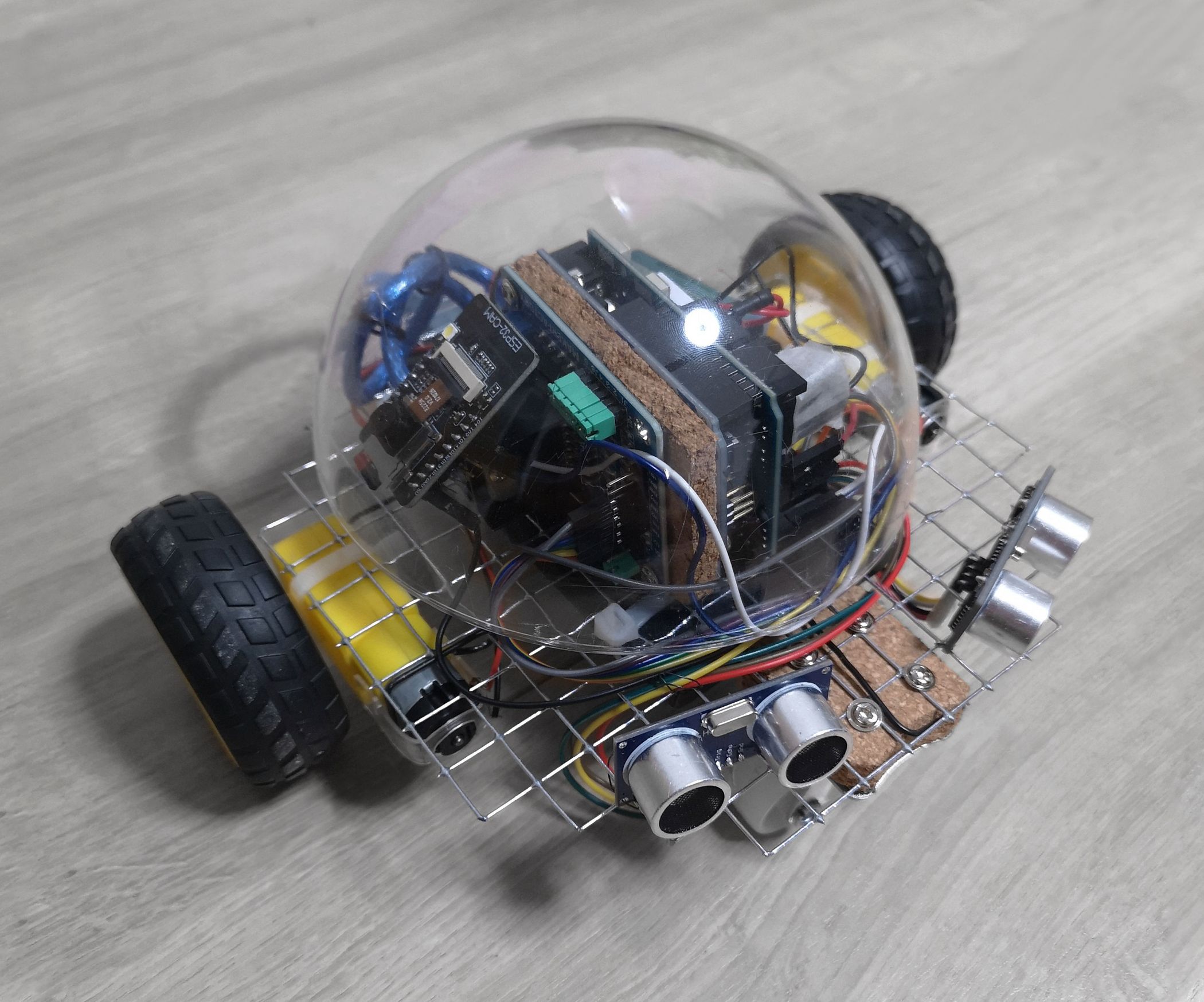 Nagging Robot® | Disturbing at the Speed of Life : 7 Steps (with ...