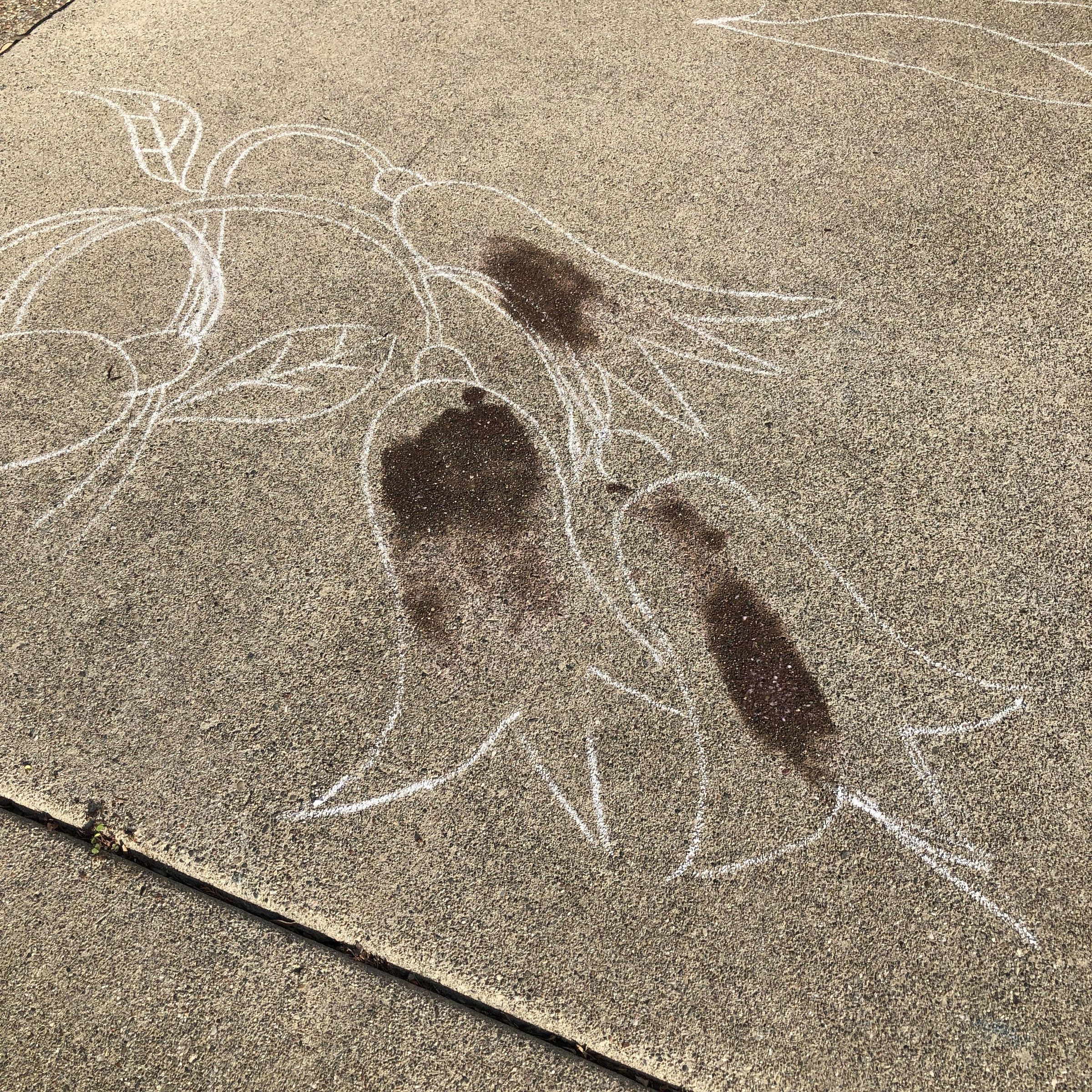 Amazing Sidewalk Chalk Art : 38 Steps (with Pictures) - Instructables