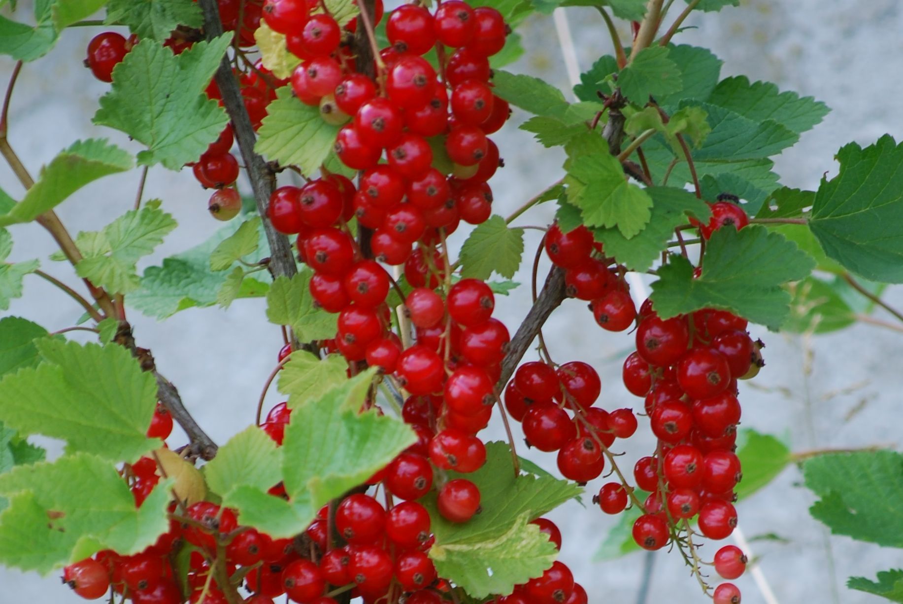 Computer Case Beehive : 8 Steps (with Pictures) - Instructables