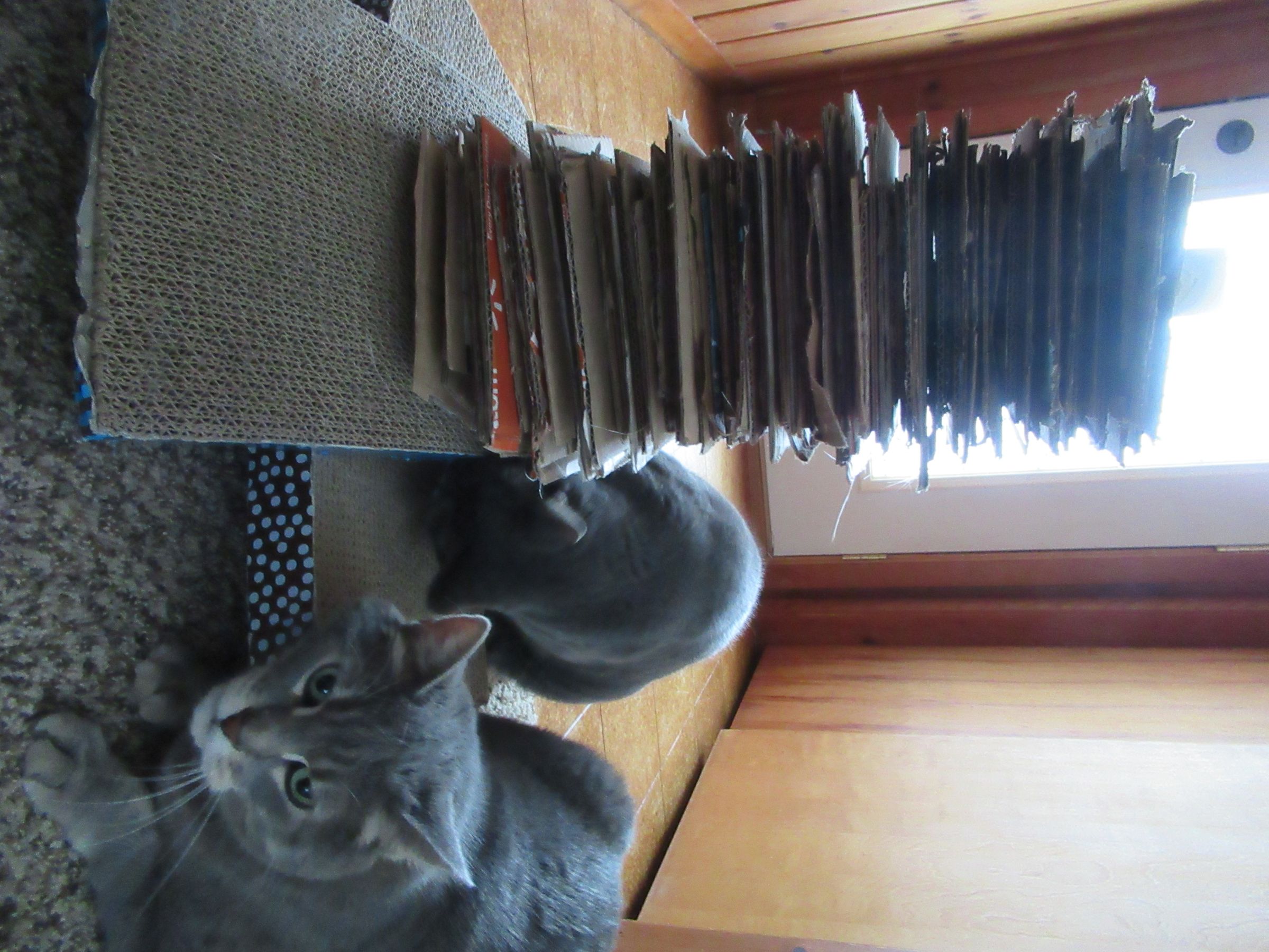 Cardboard Cat Scratching Post - Instructables