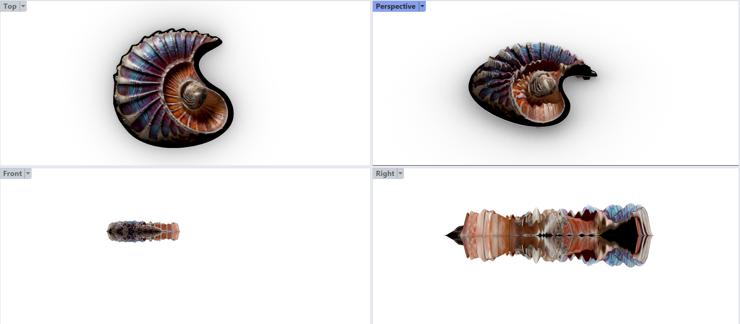 Angulate Wentletrap Inspired Shell : 7 Steps (with Pictures ...