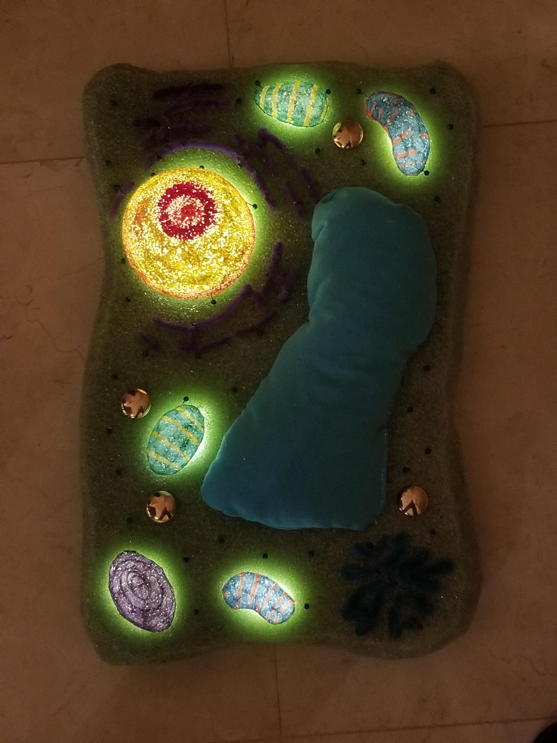 Cell Model Educational Model From Recycled Materials : 5 Steps (with ...