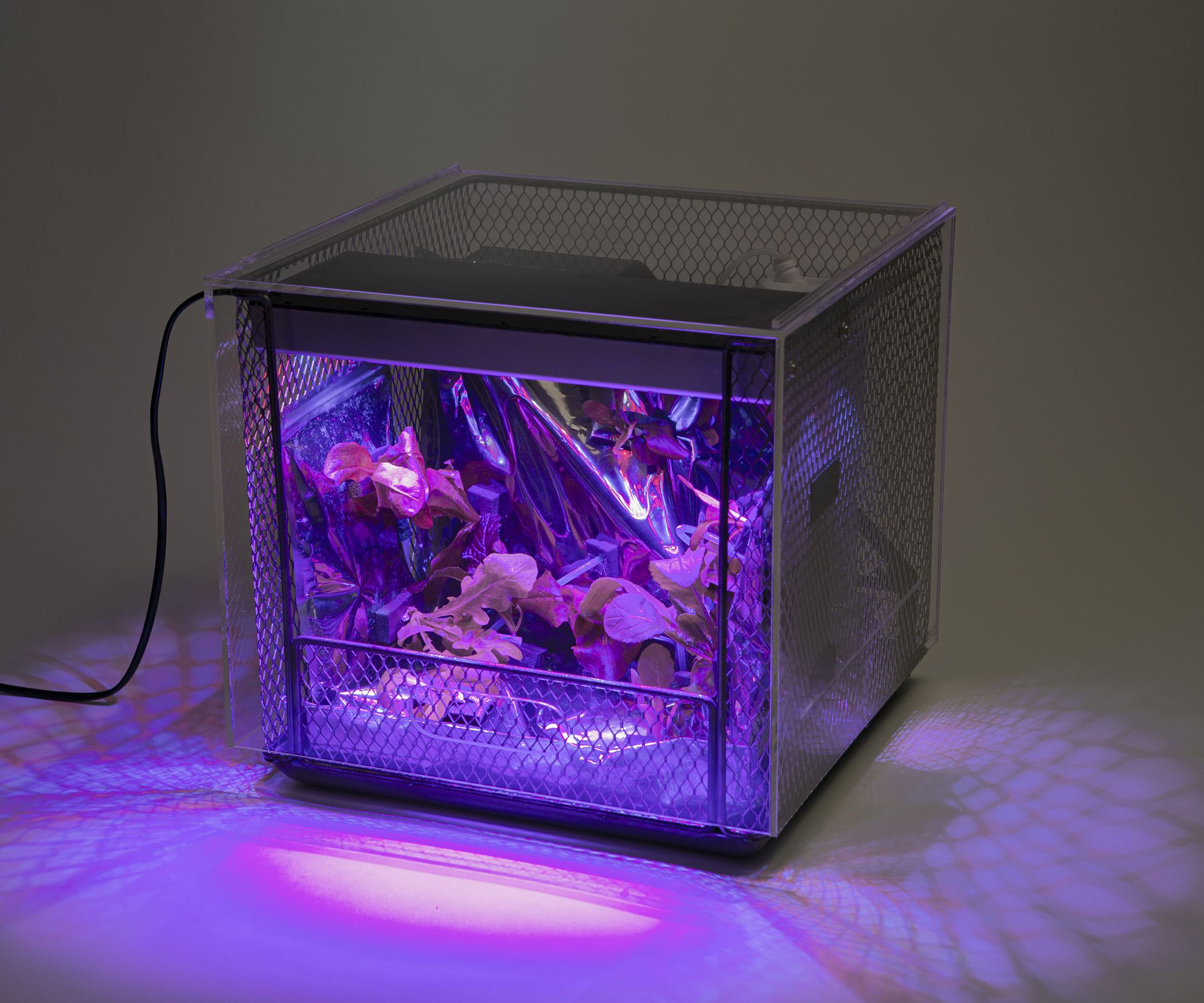 Automated Plant Growth Chamber : 7 Steps (with Pictures) - Instructables