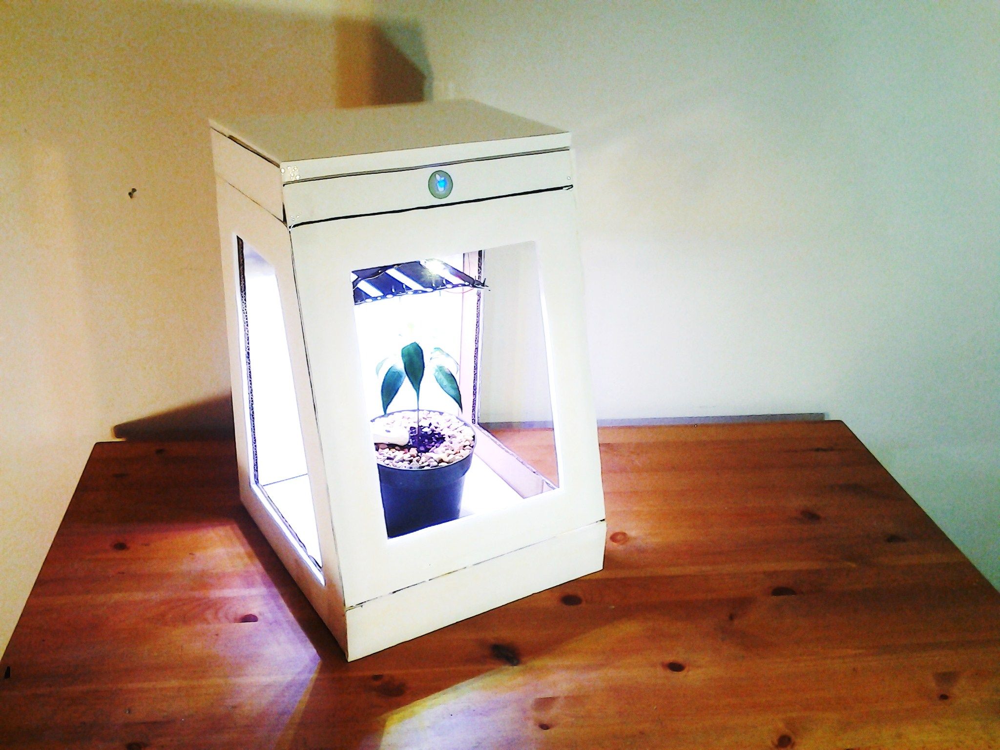 The Plant Box : 6 Steps - Instructables