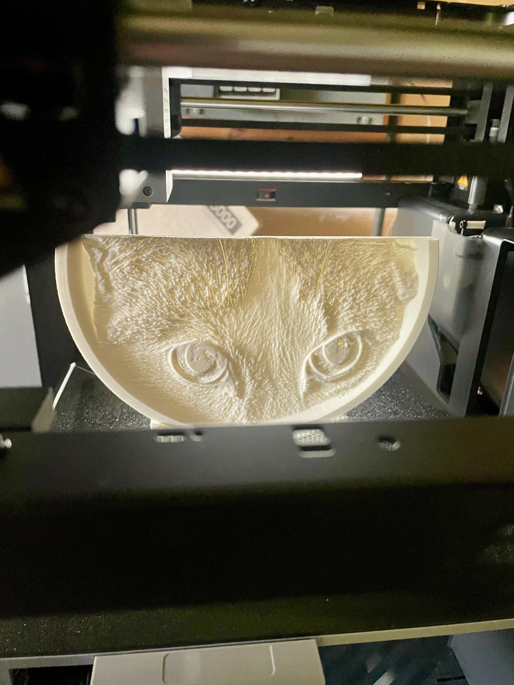 3D Printed Pet Lights : 7 Steps (with Pictures) - Instructables