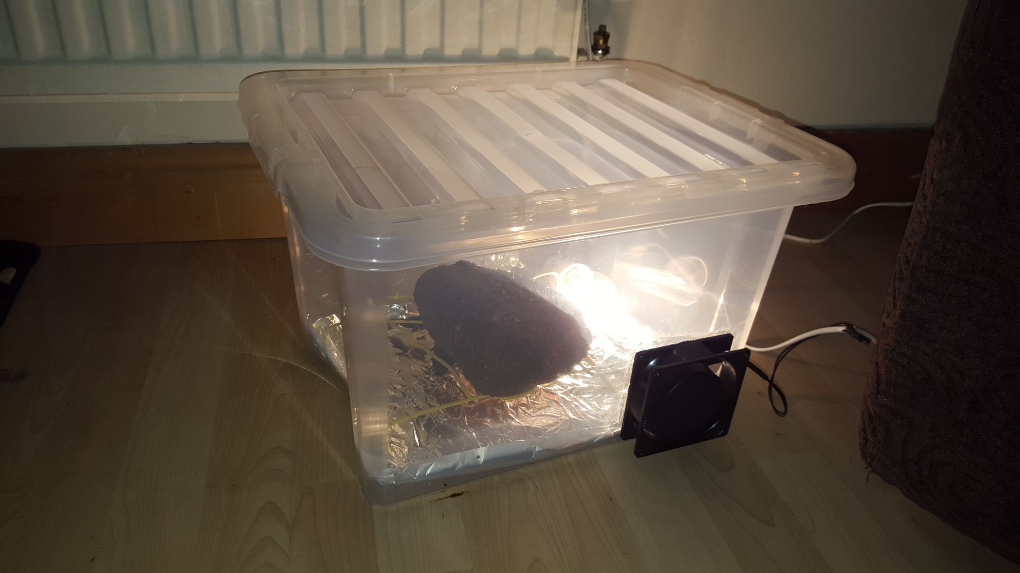 Food Dehydrator : 8 Steps (with Pictures) - Instructables