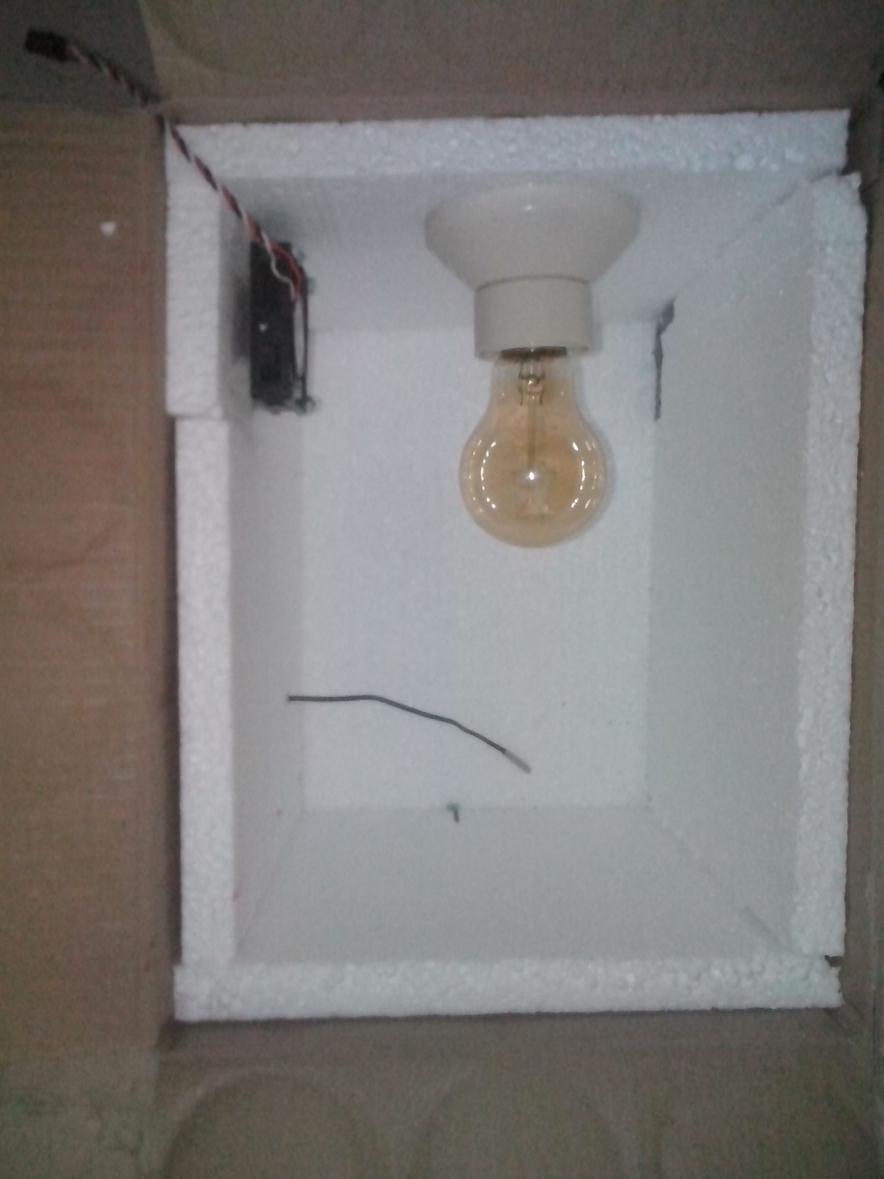 Building a Simple and Cheap Egg Incubator : 5 Steps - Instructables