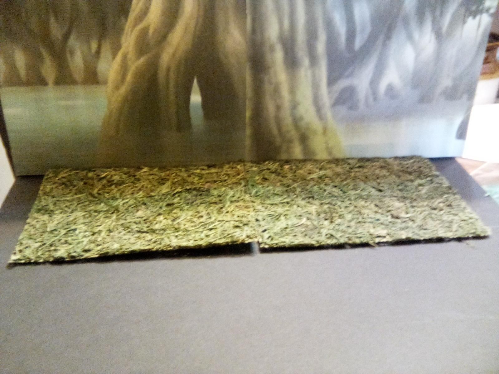 Riverbank Diorama : 6 Steps - Instructables