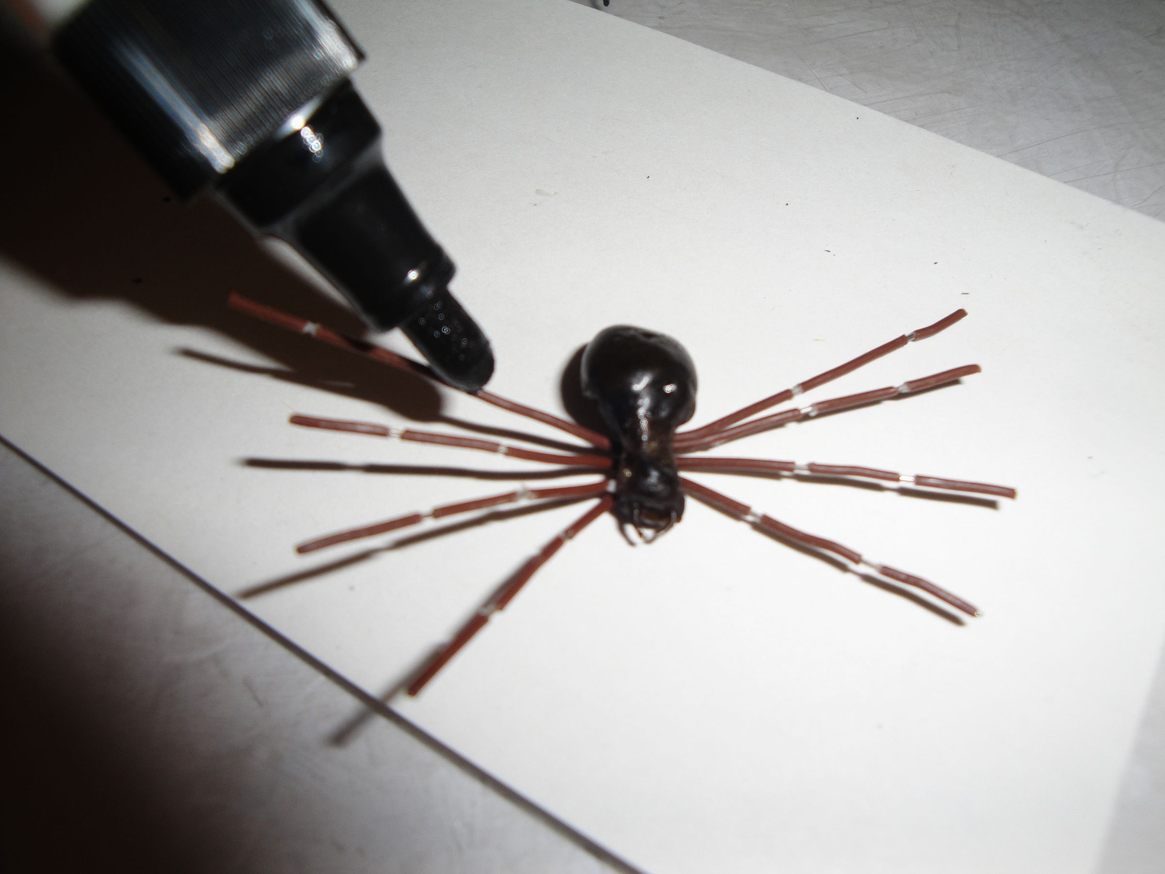 Realistic Spider (Life-Size Prop) : 7 Steps (with Pictures) - Instructables