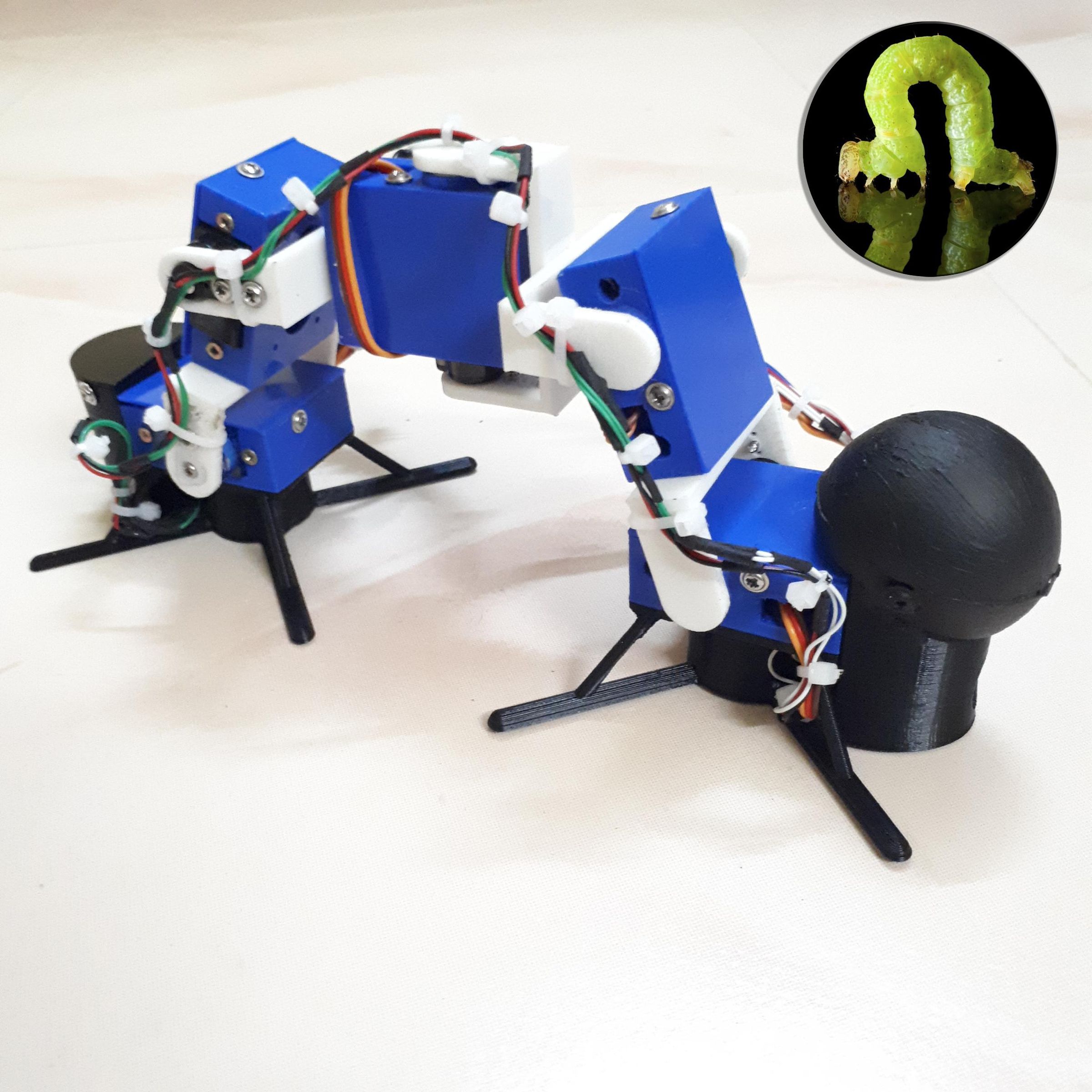 Inchworm Robot - Modular, Move Allsides With BT App : 22 Steps (with ...