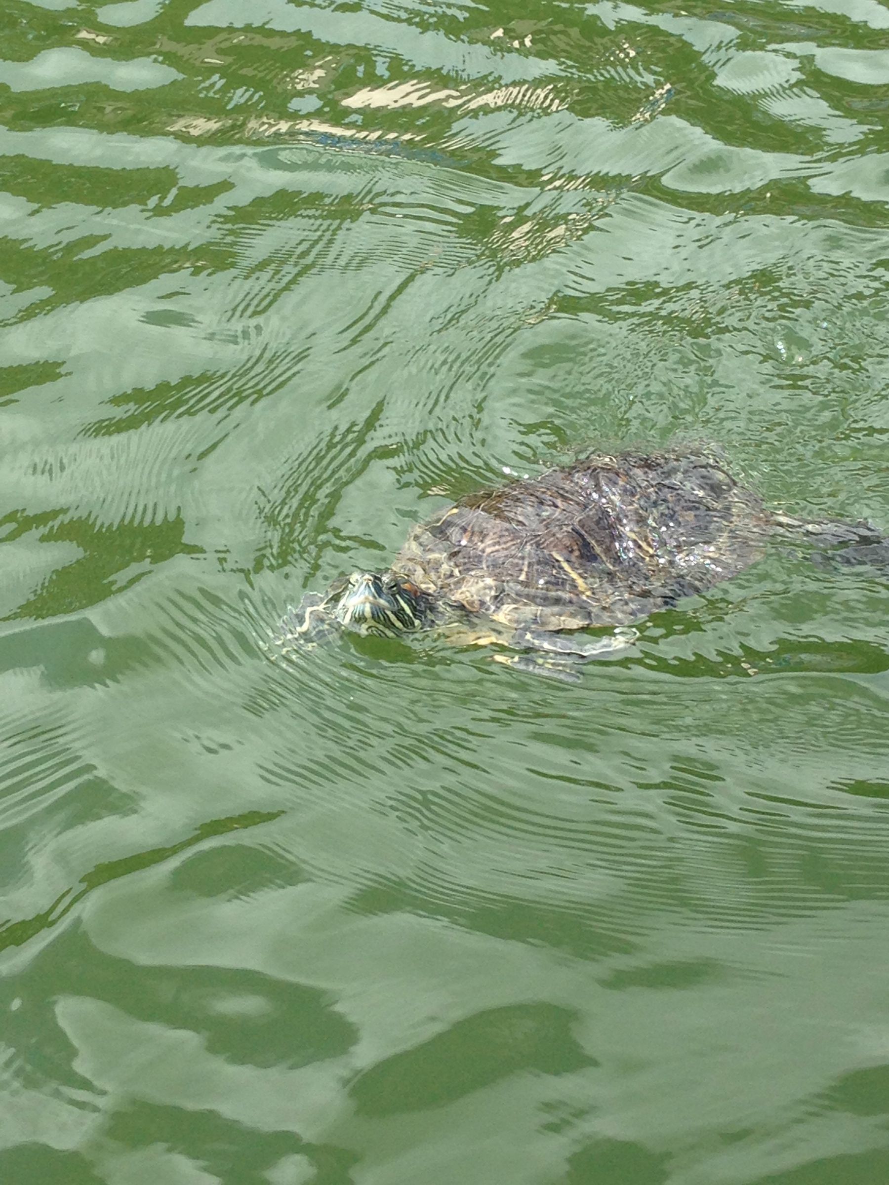 Ocean Plastic Sensor : 12 Steps - Instructables