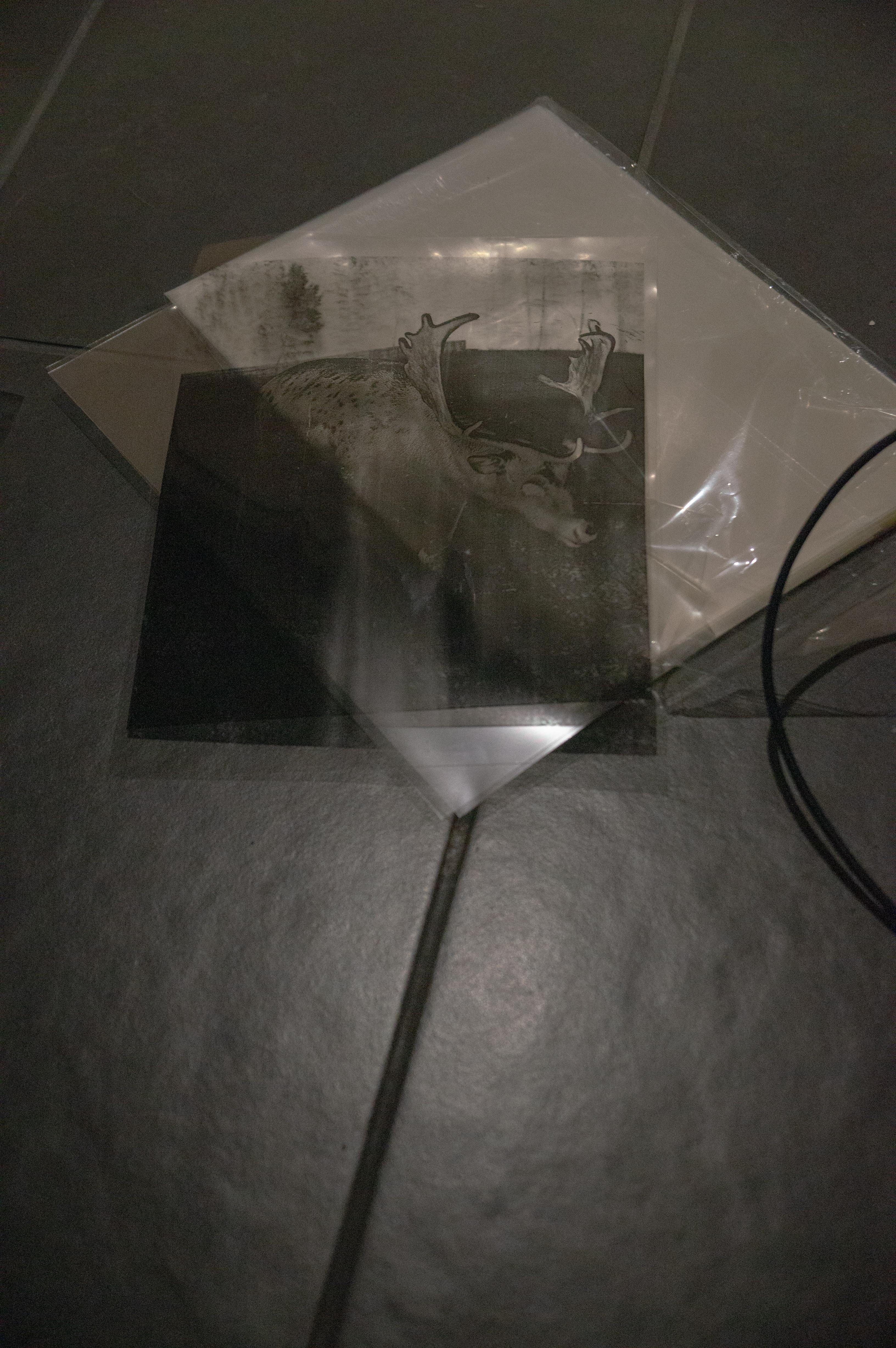 Lumen Printing in the Dark : 5 Steps (with Pictures) - Instructables