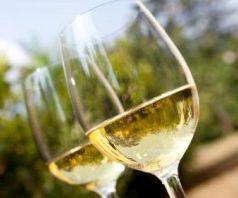 Home Made MELON Wine : 9 Steps - Instructables