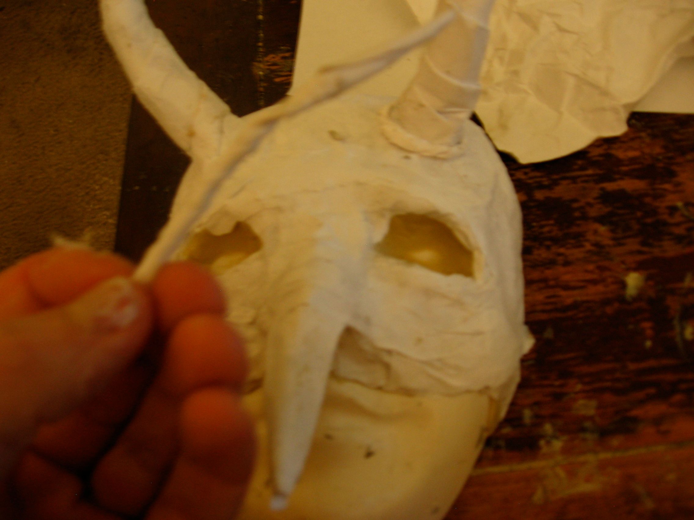 Classic Feind Mask : 5 Steps (with Pictures) - Instructables