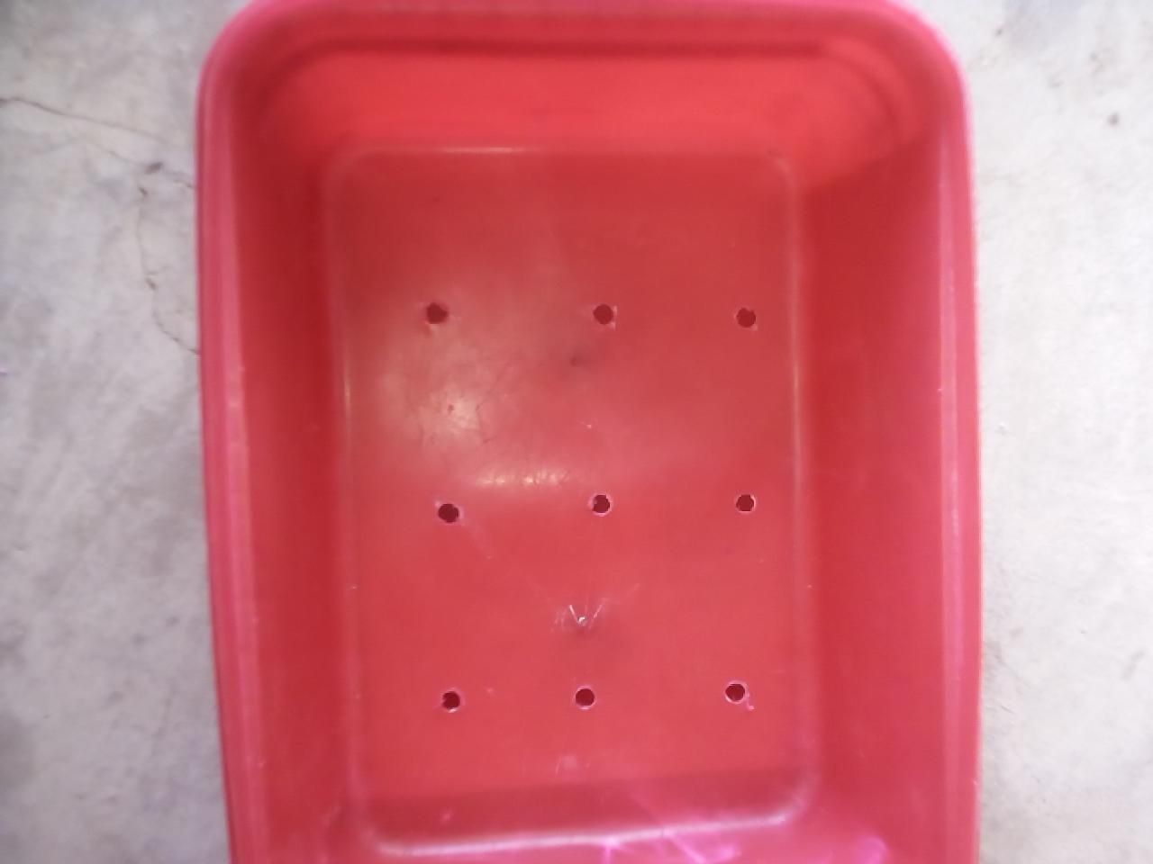 How to Make a Mini Wormery Out of Ice Cream Containers : 6 Steps ...