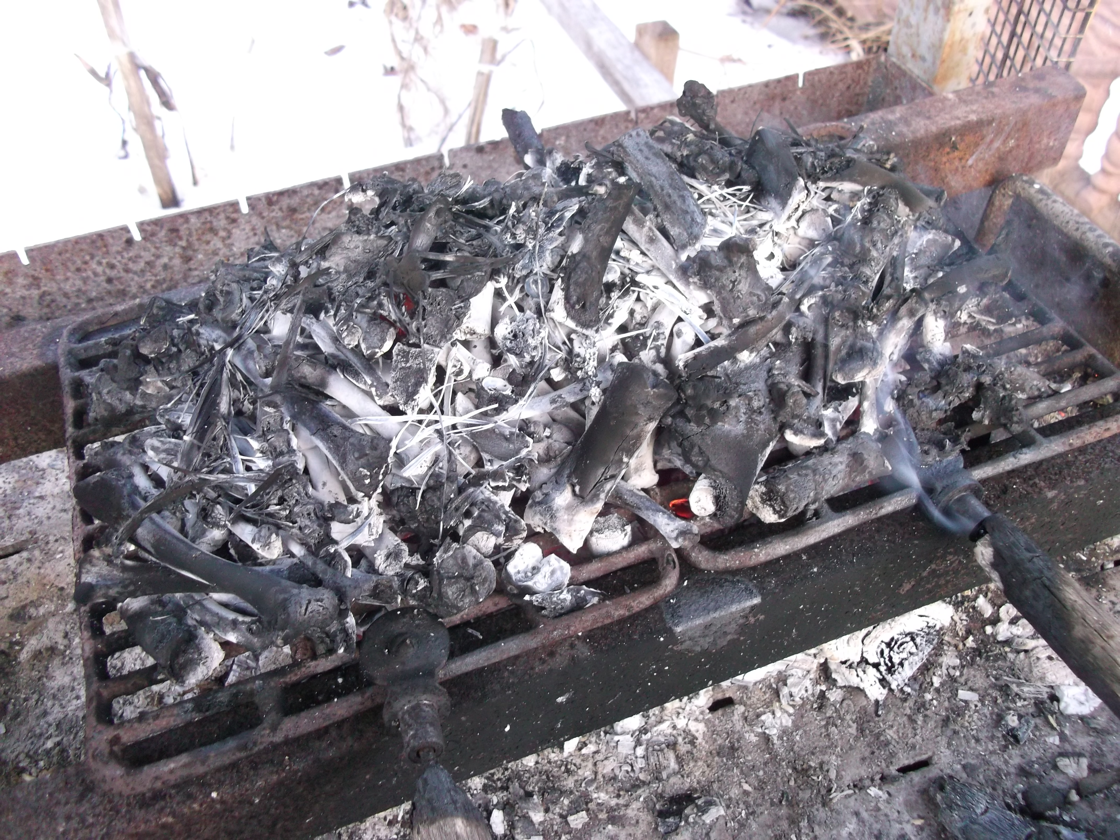 Animal Bones As Fuel and Fertilizer : 6 Steps (with Pictures ...