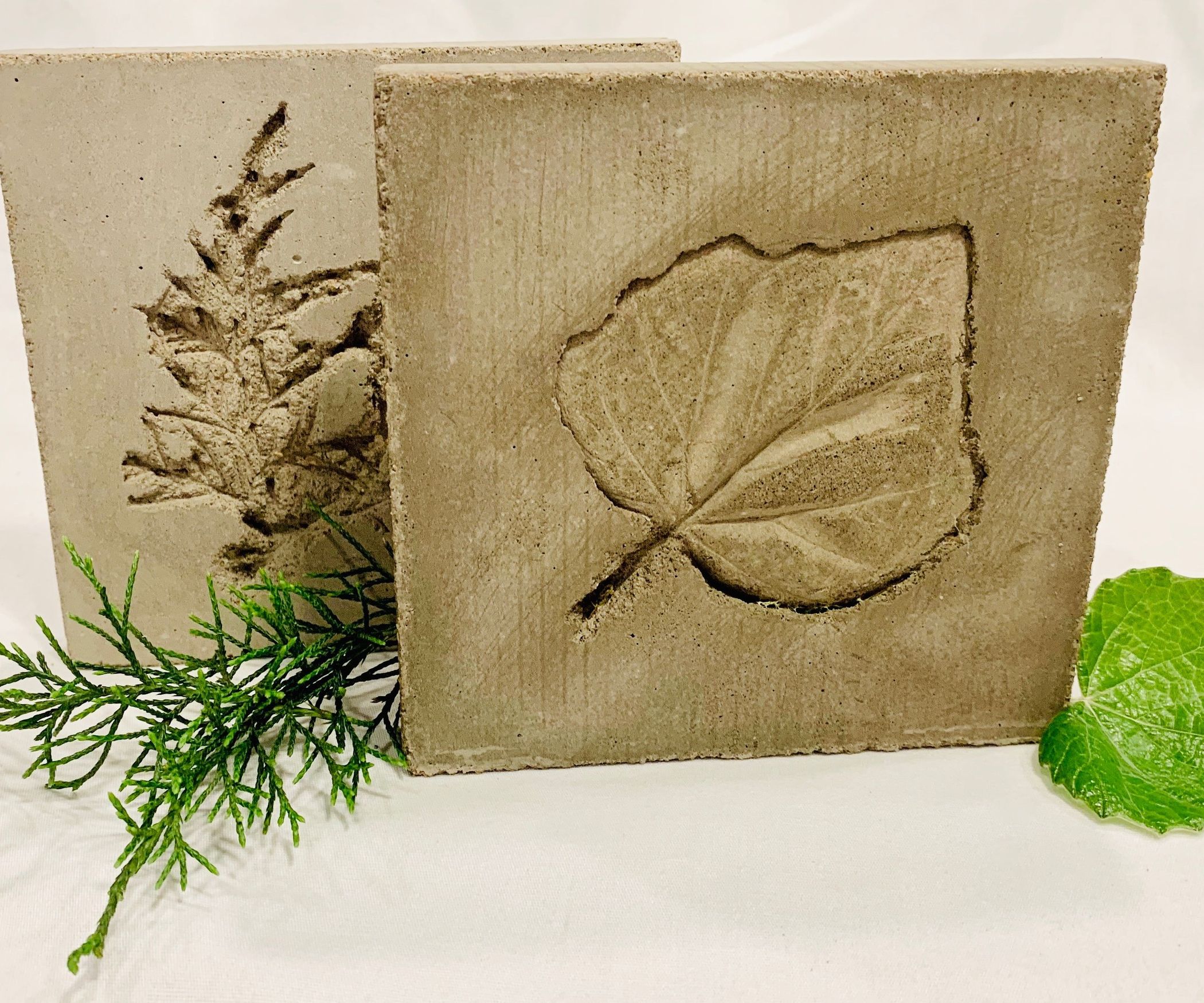 DIY Leaf Cast : 7 Steps - Instructables