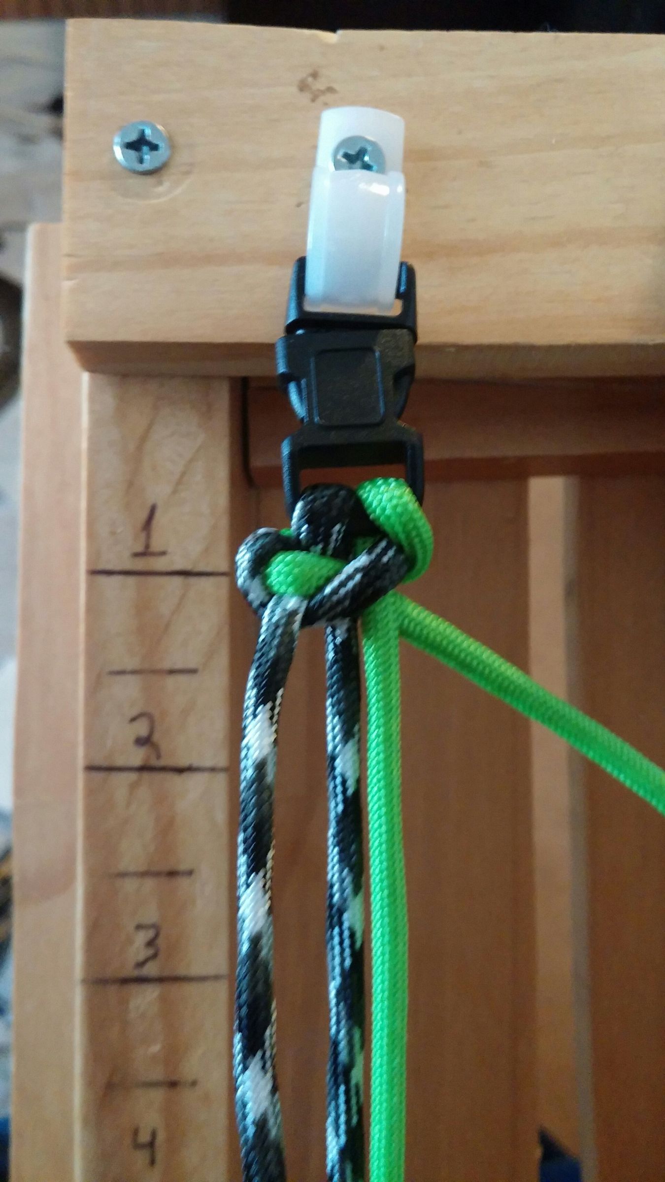 Dragon Claw : 10 Steps (with Pictures) - Instructables