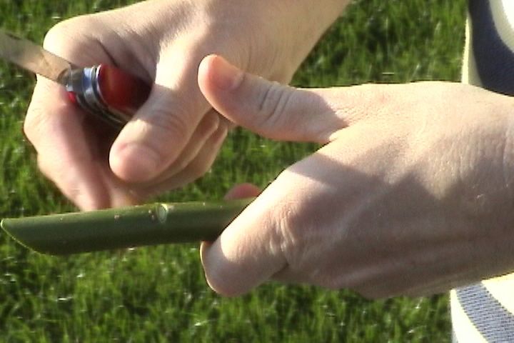 Willow Whistle : 7 Steps (with Pictures) - Instructables