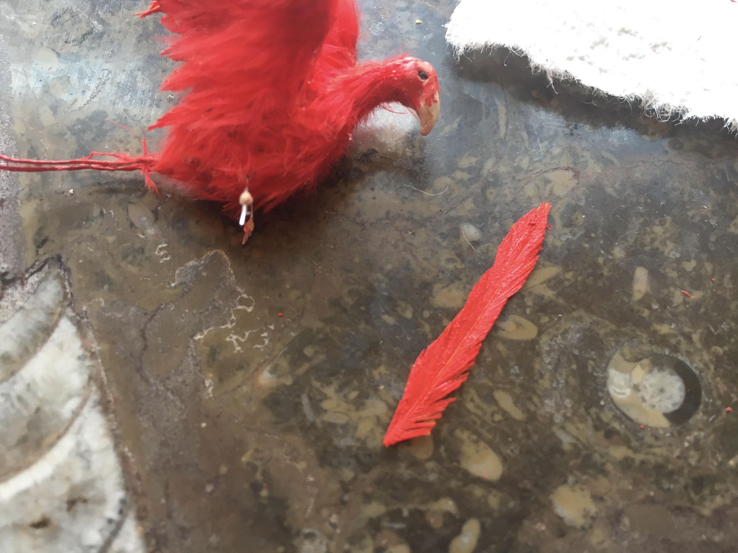 DIY Miniature Phoenix : 10 Steps (with Pictures) - Instructables