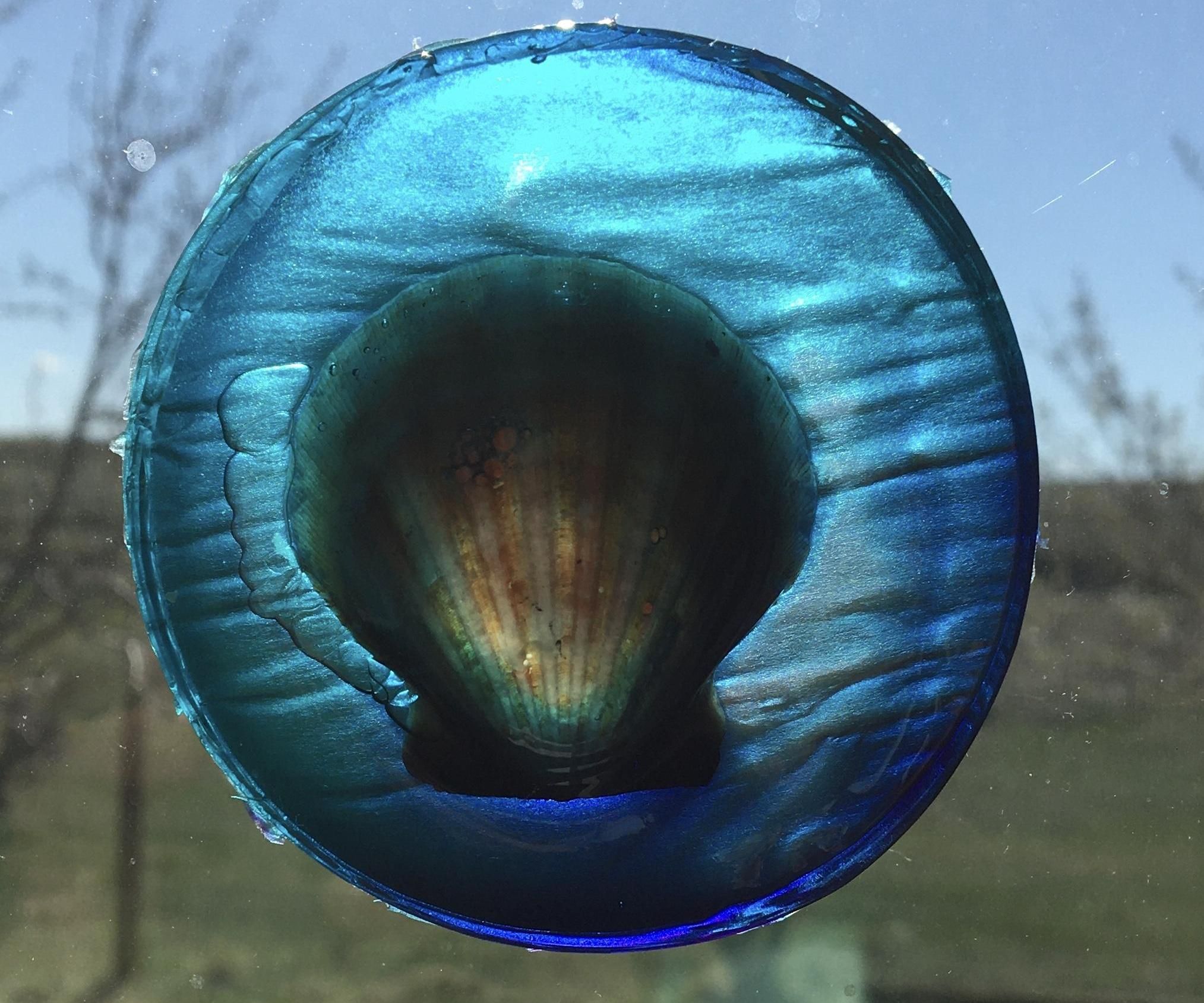 Seashell Sun Catchers : 8 Steps (with Pictures) - Instructables