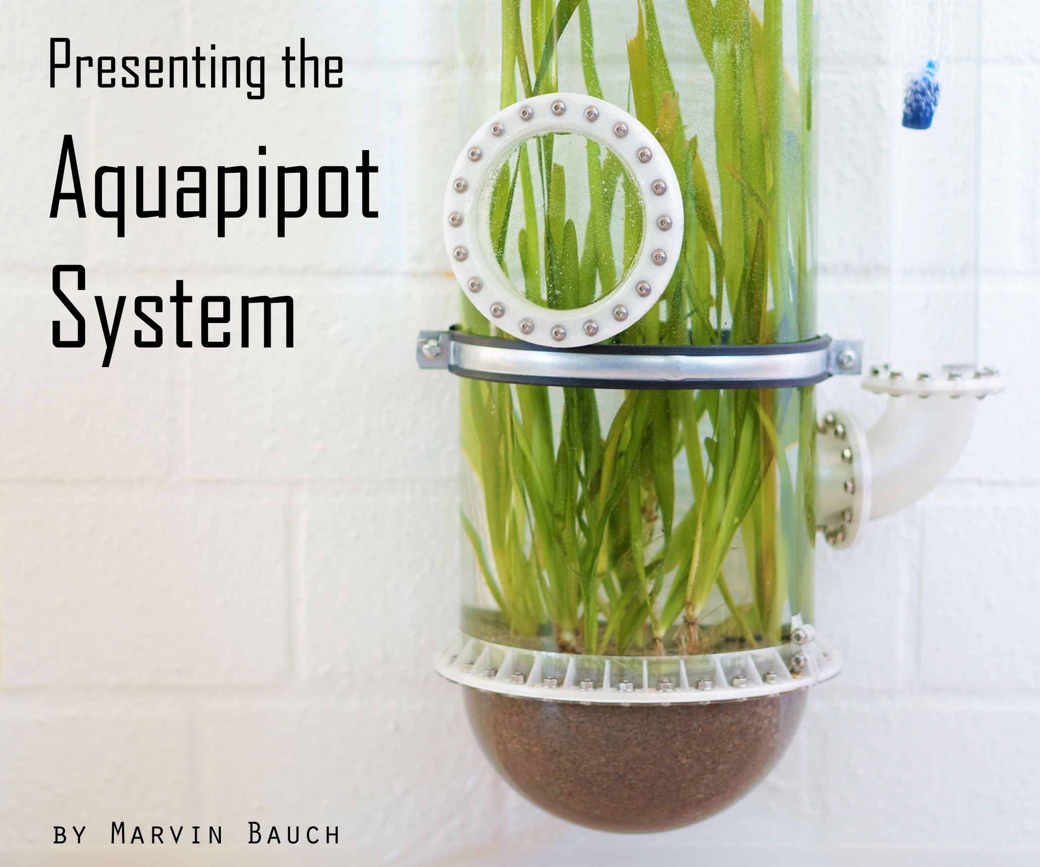 Aquapipot: Waterplanter, Aquatic Flowerpot, Aquarium, Pipe Structure ...