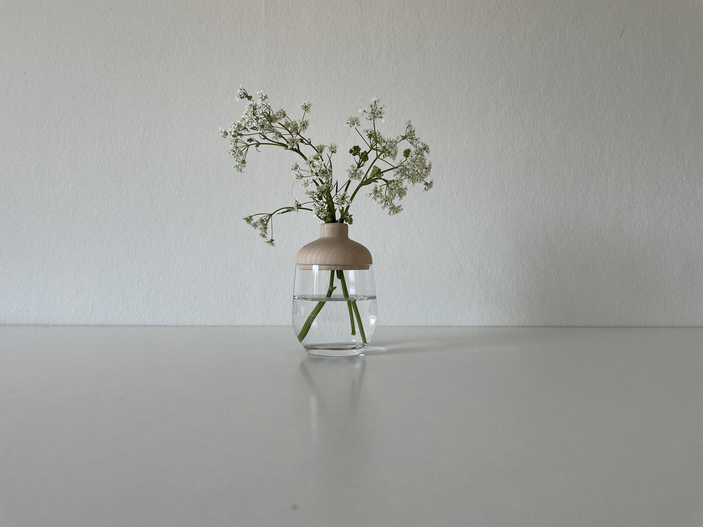 Turn/reuse Your Glasses in to Vases : 9 Steps (with Pictures ...