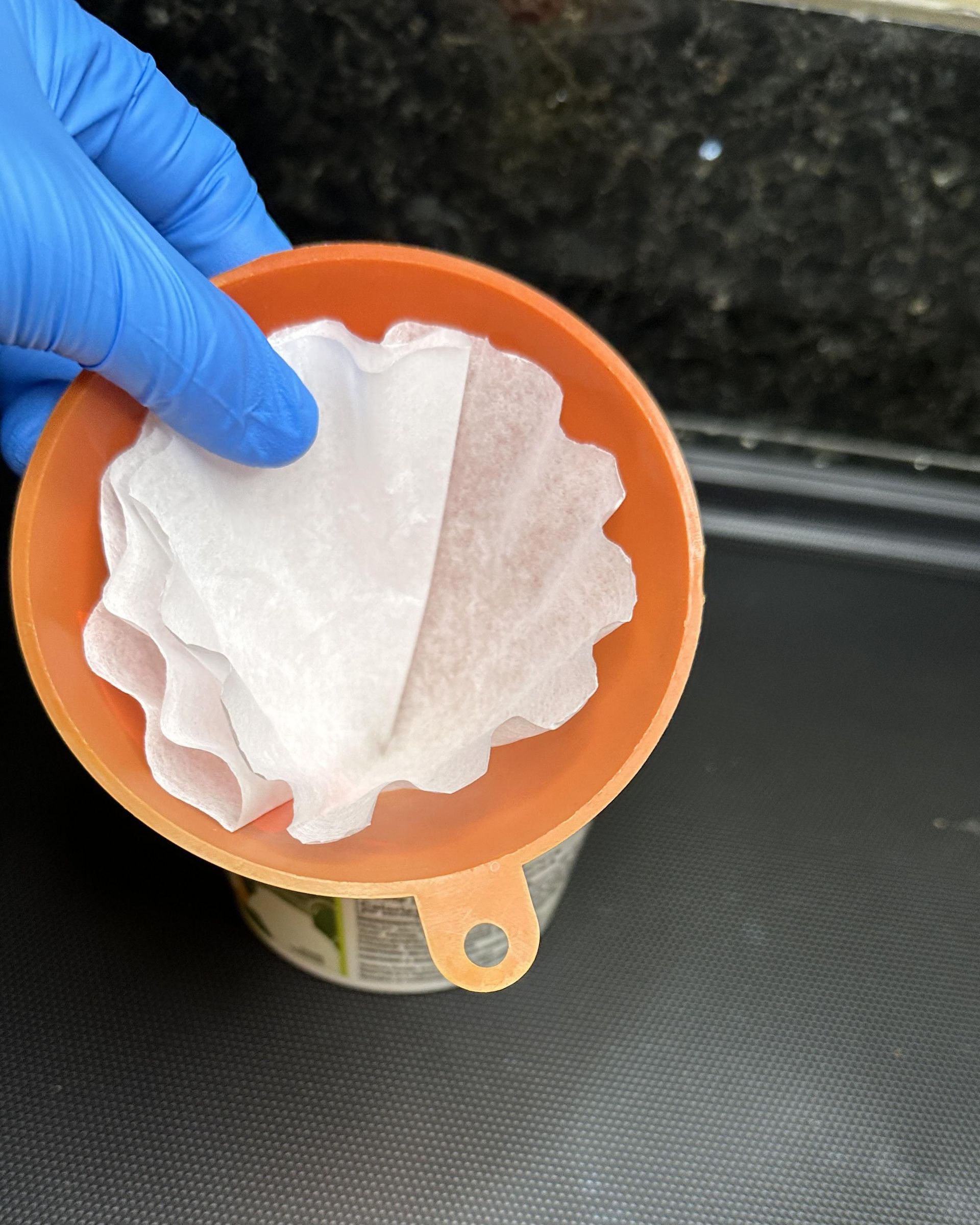 Turmeric Sun Prints/ Impresiones Solares Con Cúrcuma : 12 Steps (with ...