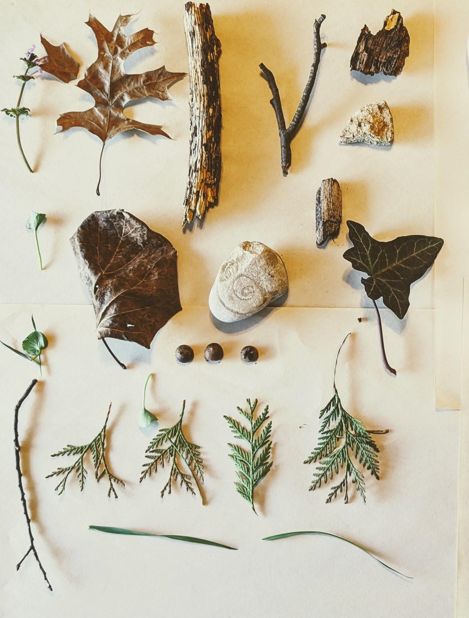 Printmaking With Nature : 7 Steps - Instructables